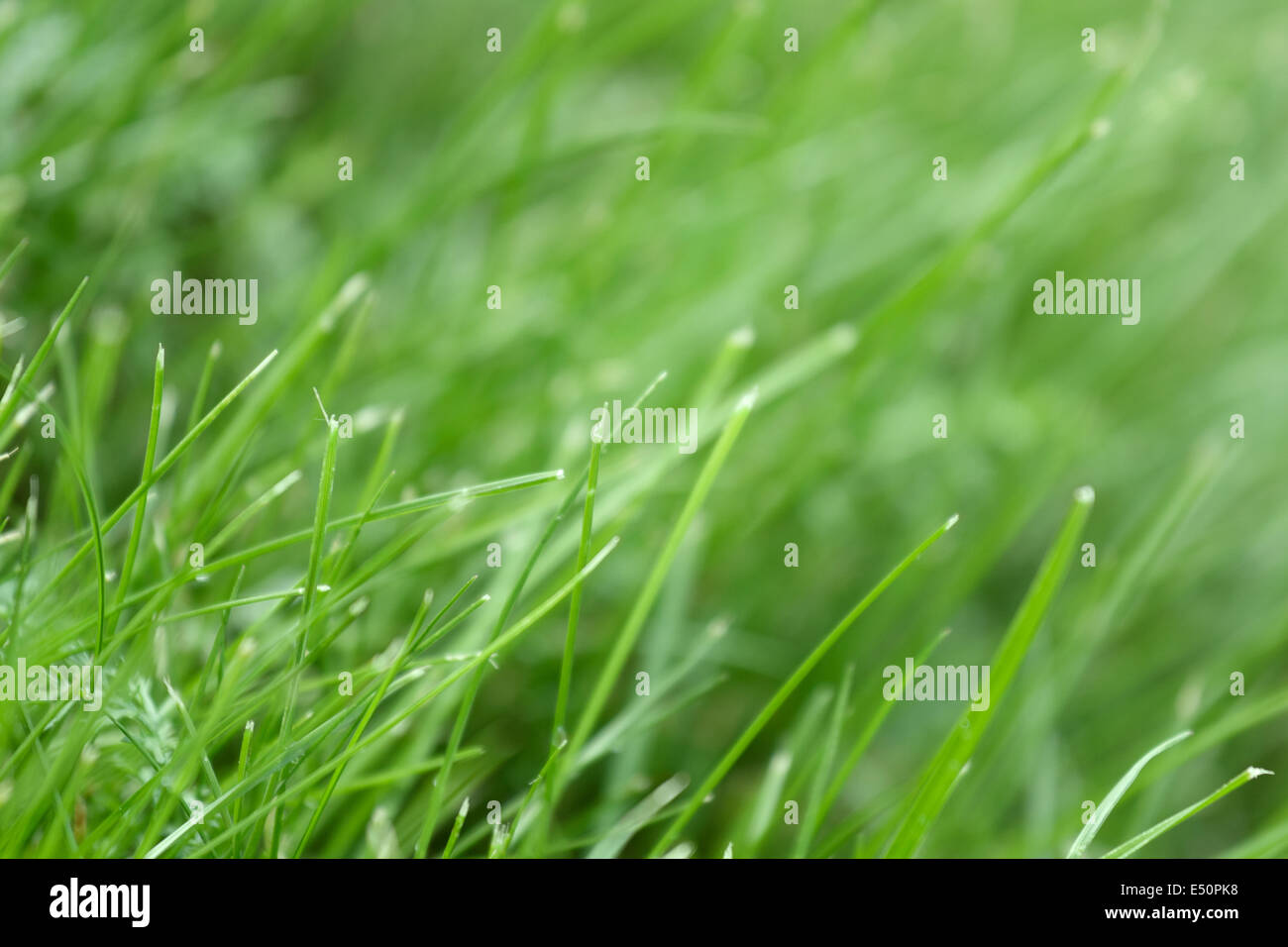 Canted hi-res stock photography and images - Alamy