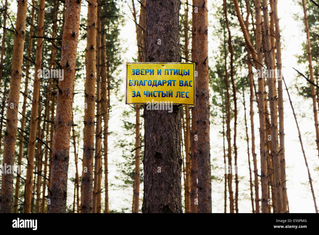 A sign on the tree Stock Photo - Alamy