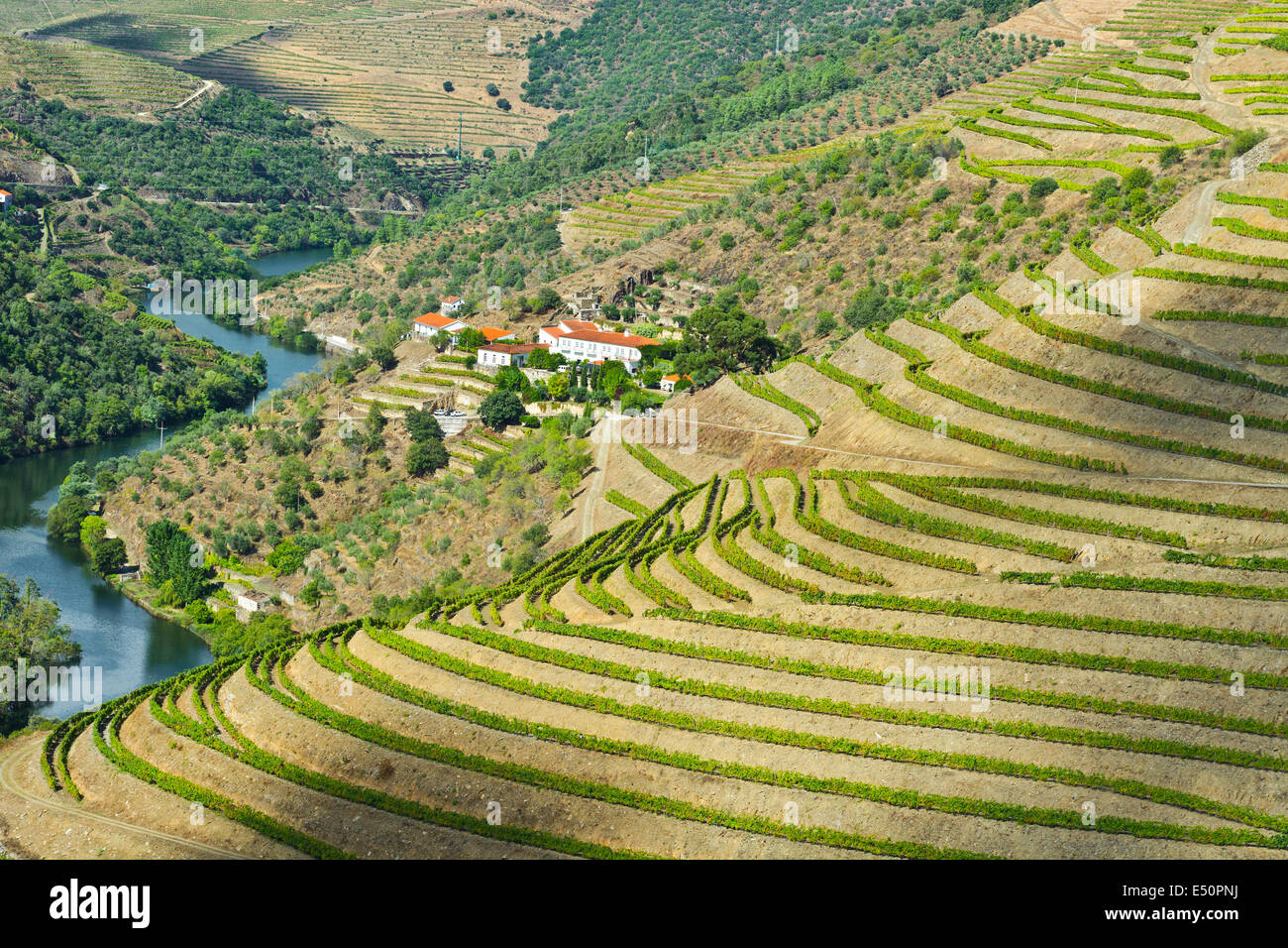Douro valley line, portugal hi-res stock photography and images - Alamy