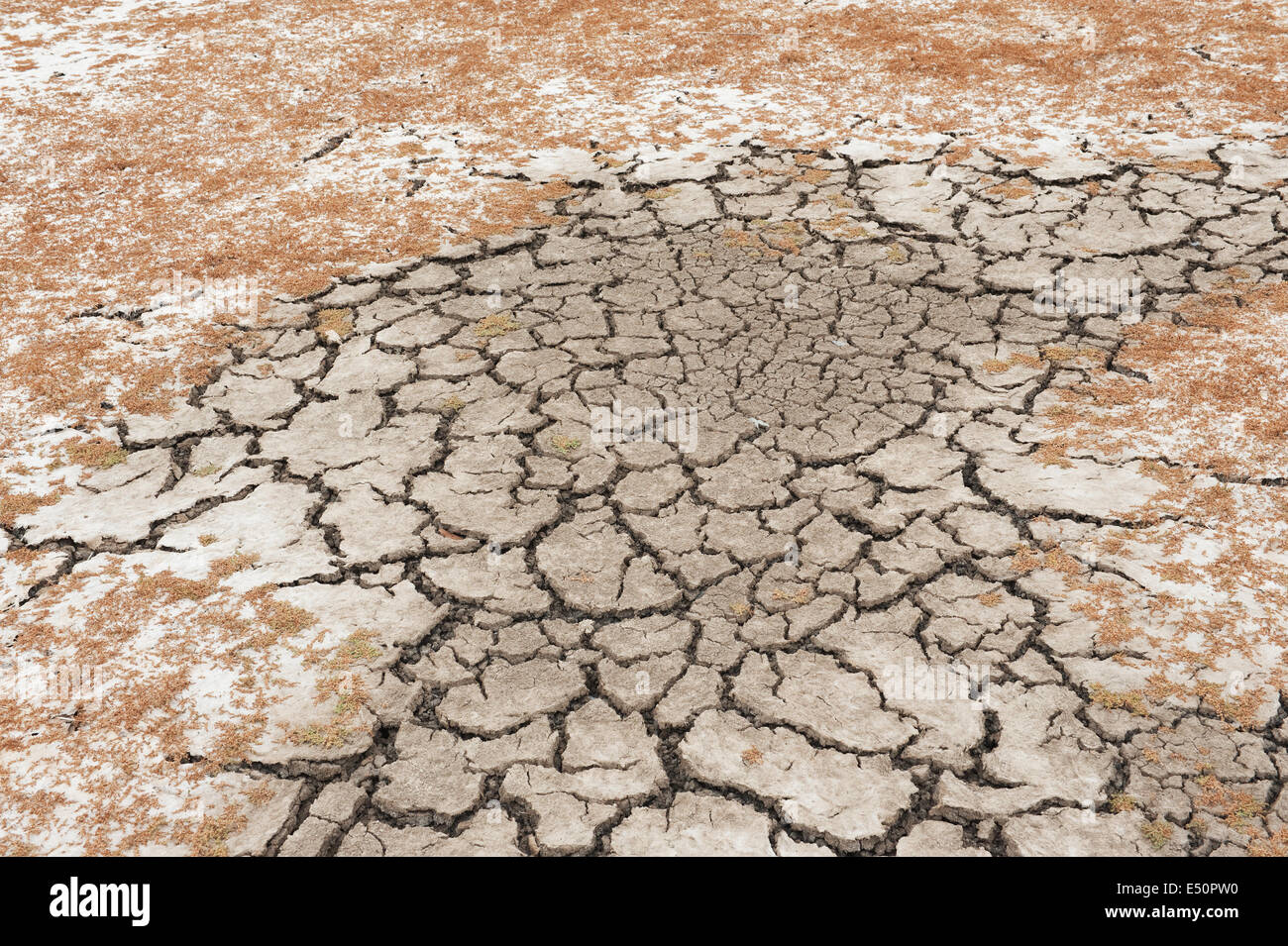 Infertile soil hi-res stock photography and images - Alamy