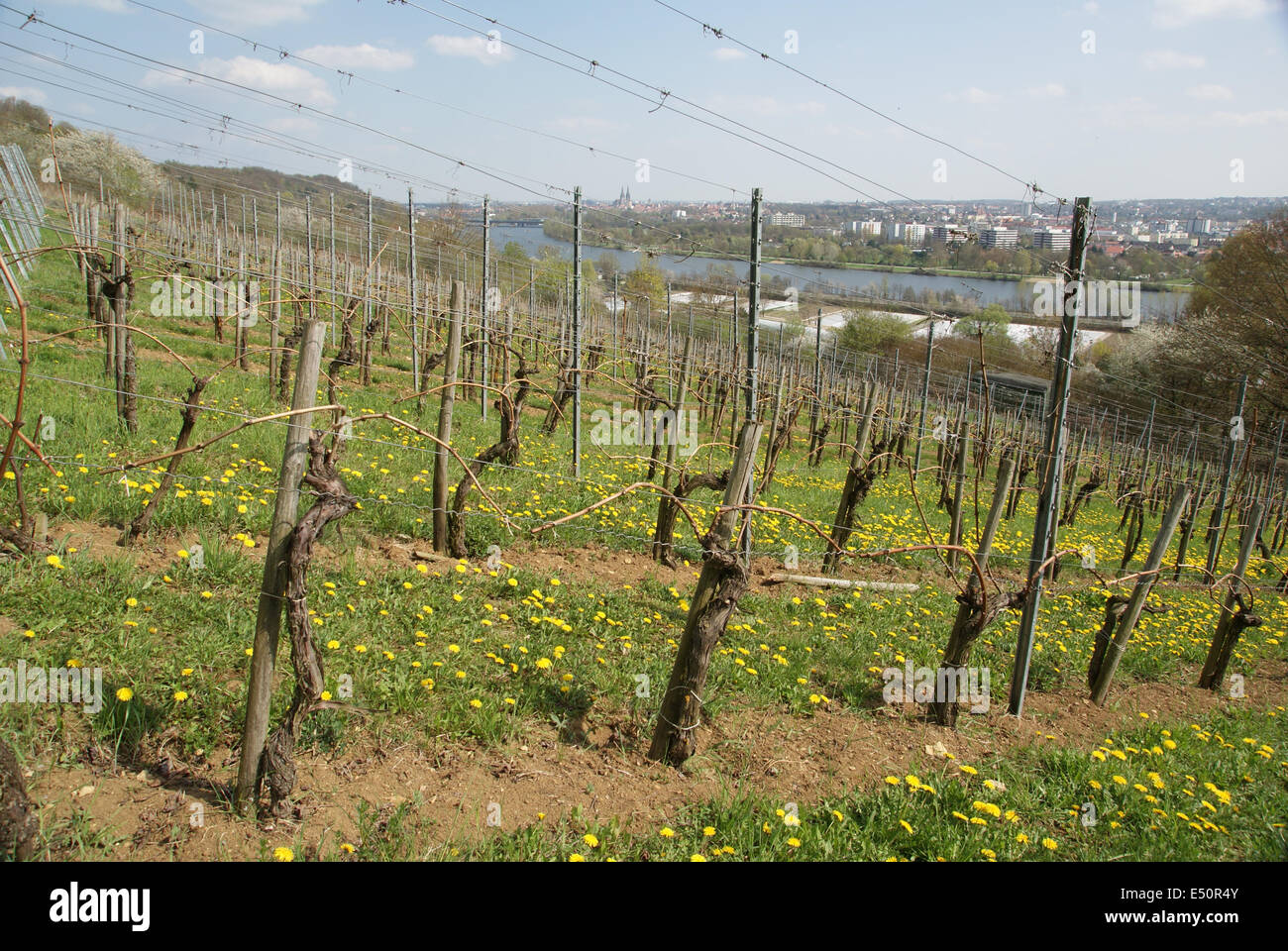 Tees yard hi-res stock photography and images - Alamy