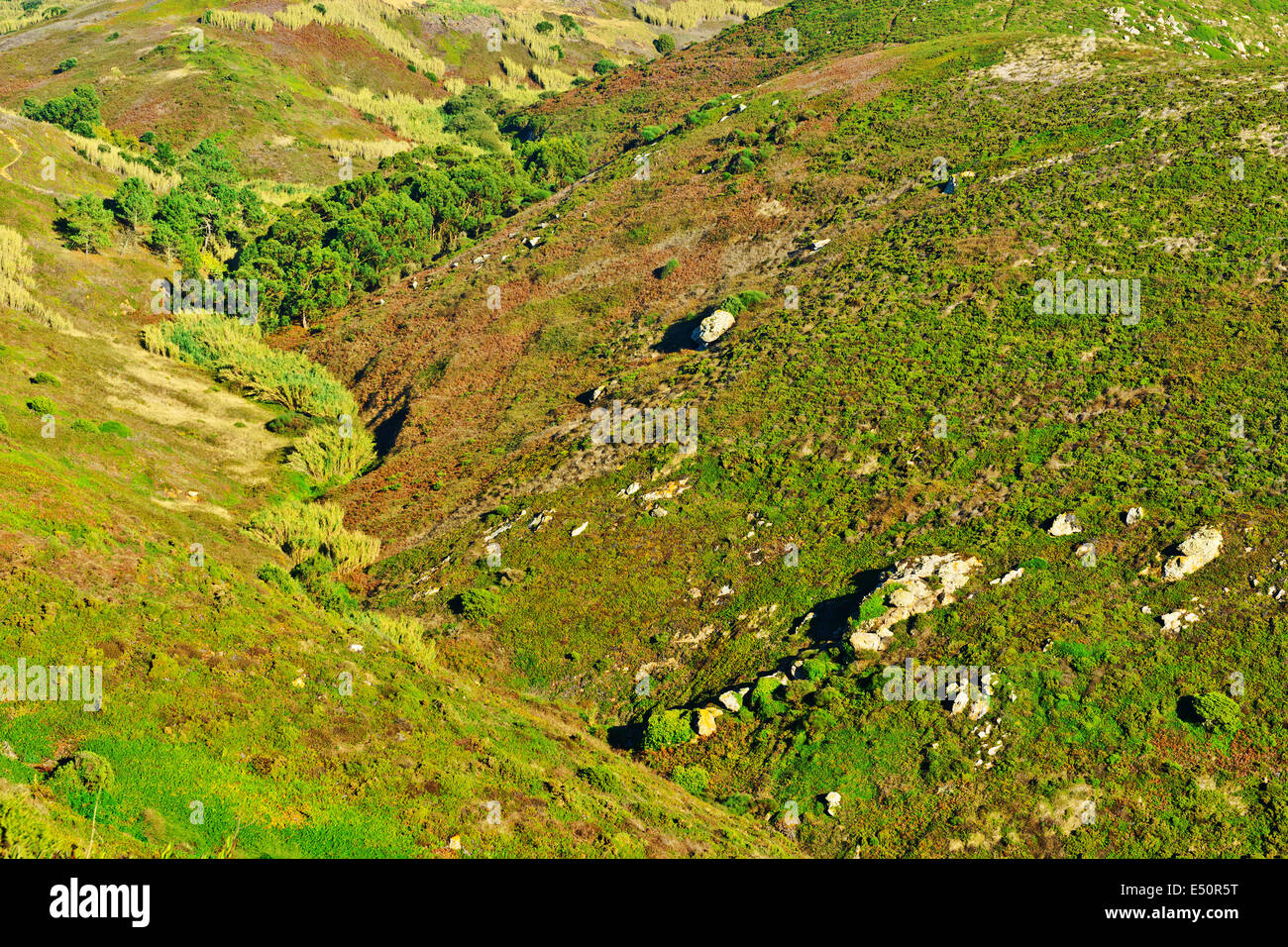 Unsettled hi-res stock photography and images - Alamy