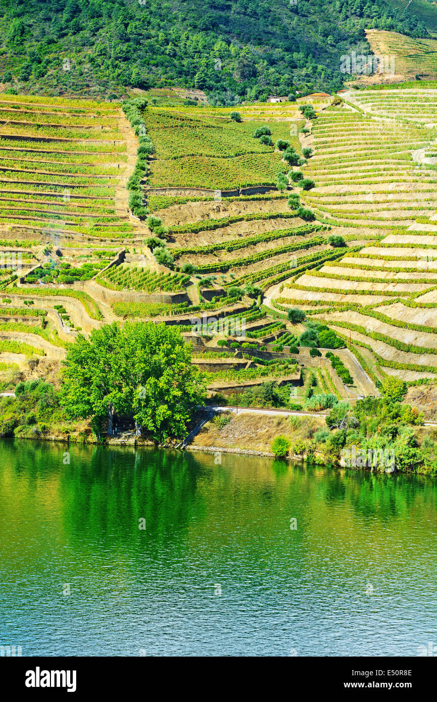 Douro valley line, portugal hi-res stock photography and images - Alamy