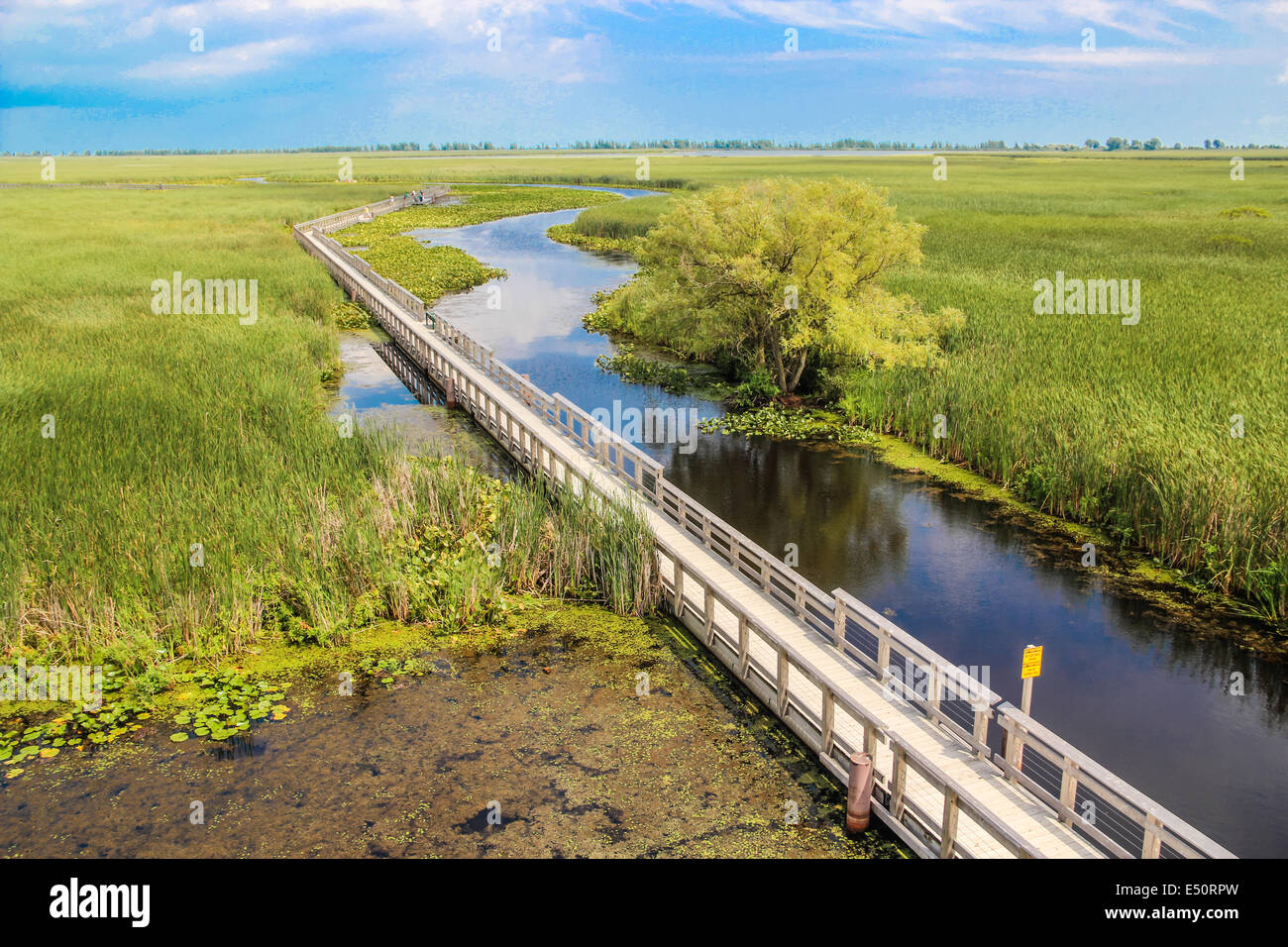 Grass field with river and bridge Stock Photo - Alamy