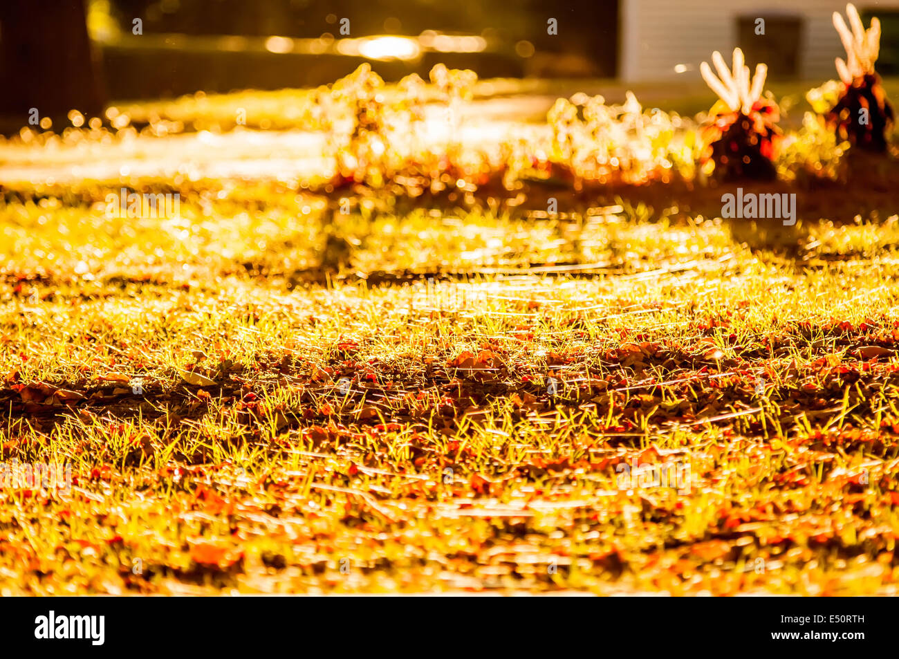 sunset in backyard Stock Photo - Alamy