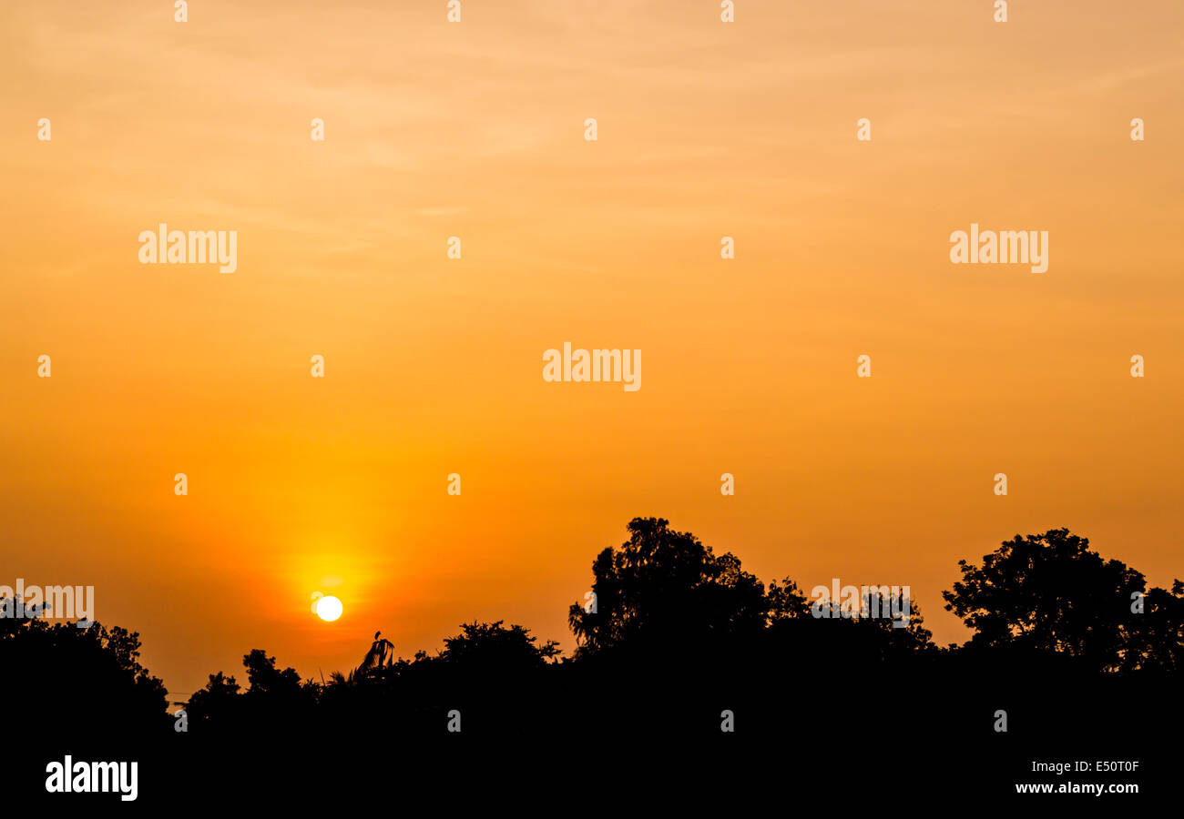 The sun rises in a summer, Thailand. morning Stock Photo - Alamy