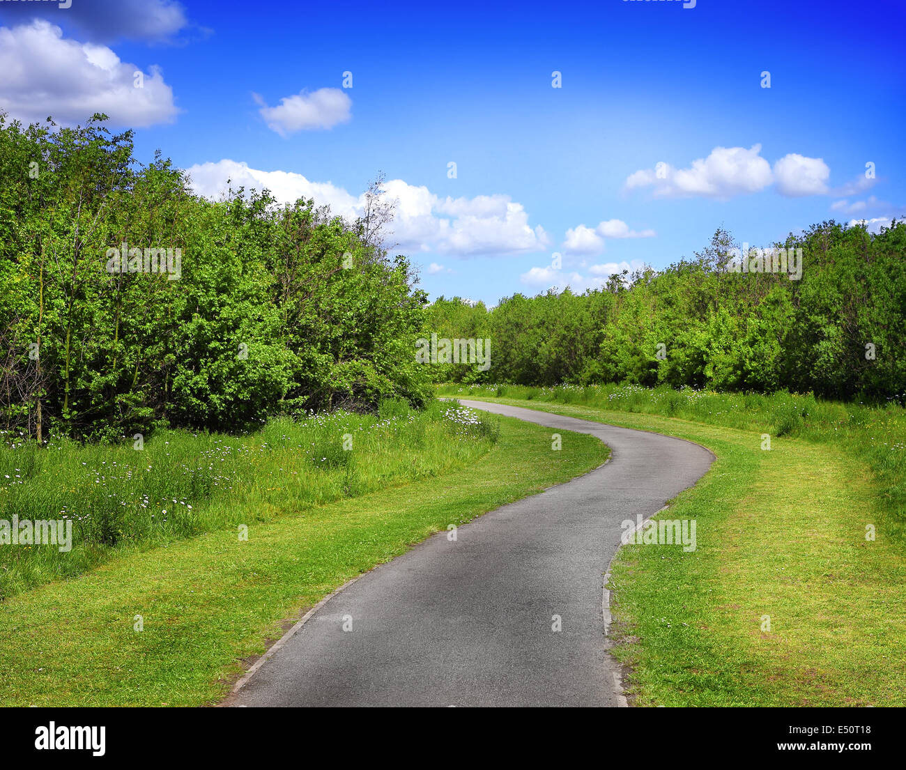 Beautiful park alley Stock Photo - Alamy
