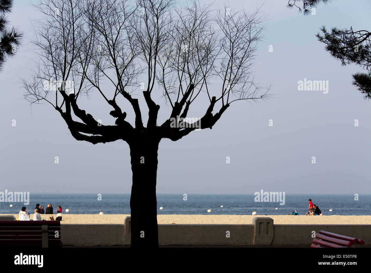 Arcachon beach hi-res stock photography and images - Alamy