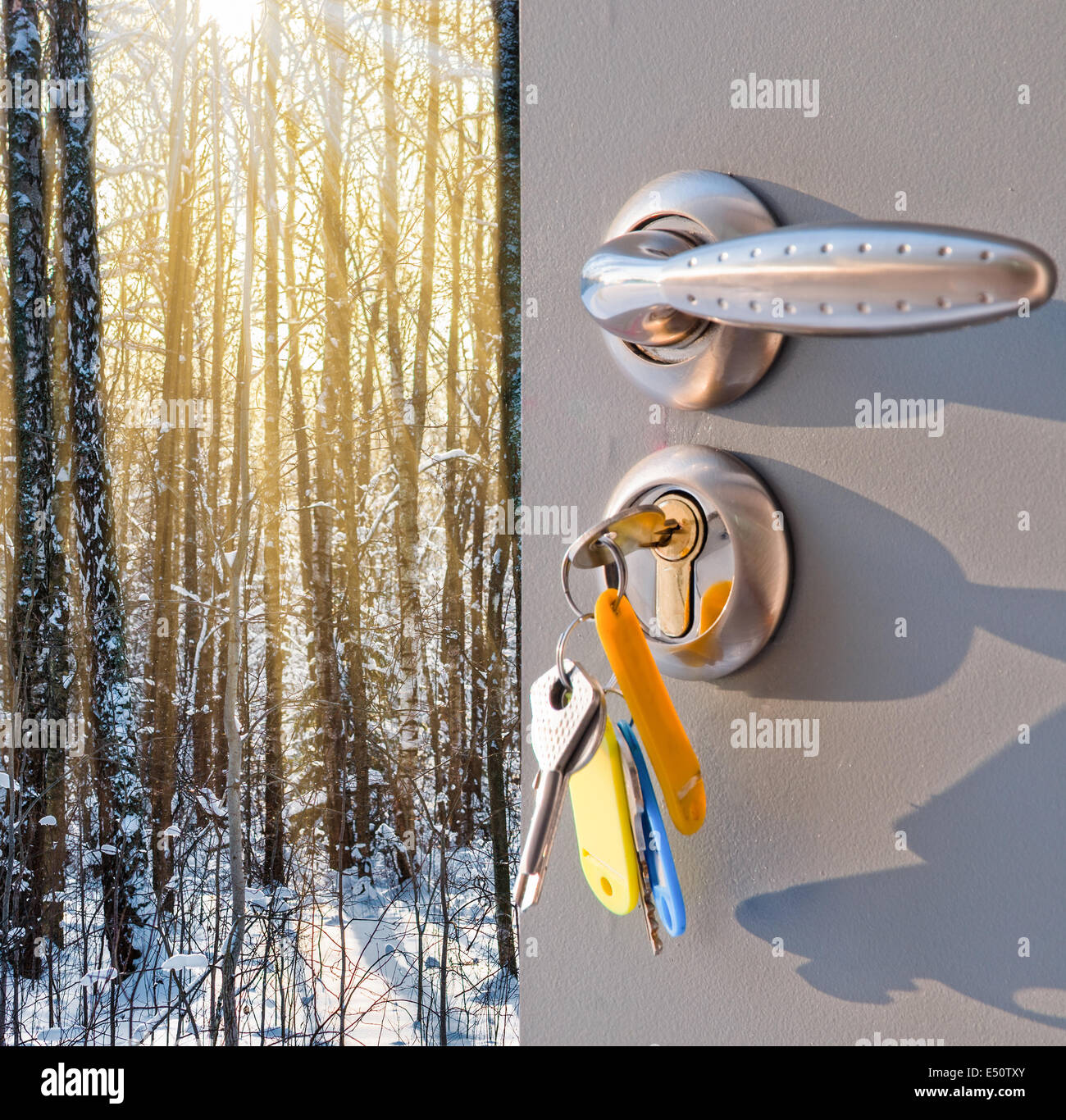 open door and a winter forest Stock Photo - Alamy