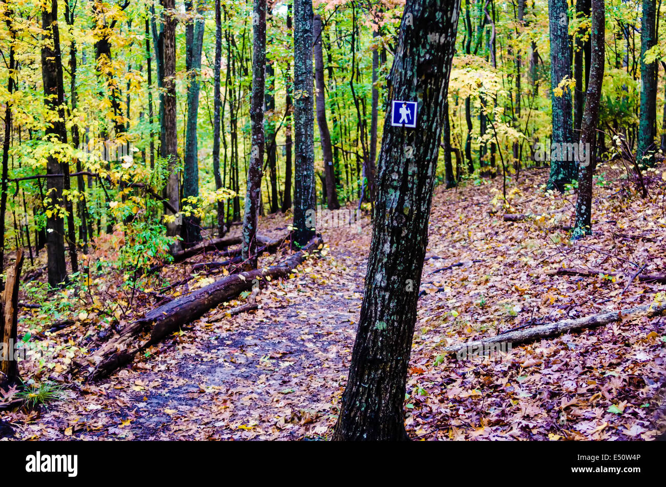 hiking trail during autumn season Stock Photo - Alamy