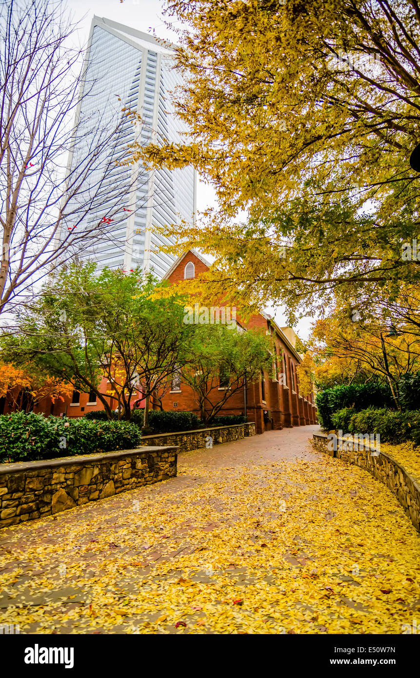 charlotte city skyline autumn season Stock Photo - Alamy