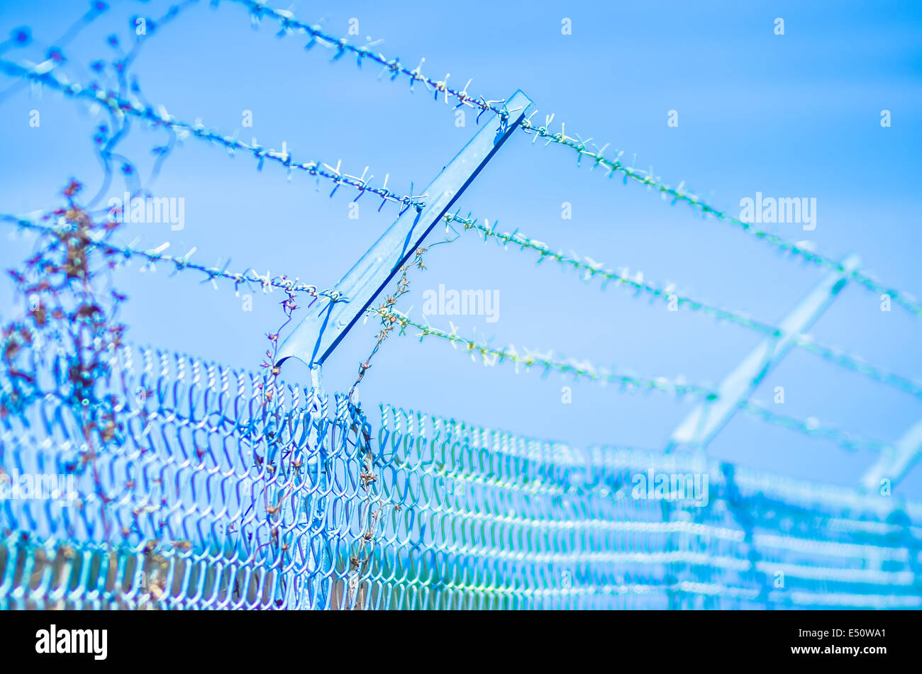 barb wire fence Stock Photo - Alamy