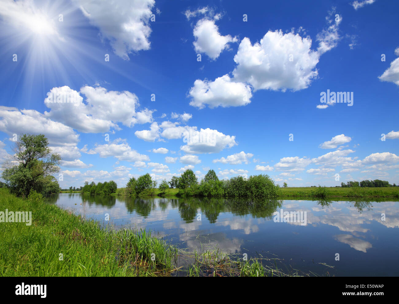 beautiful summer lake landscape Stock Photo - Alamy