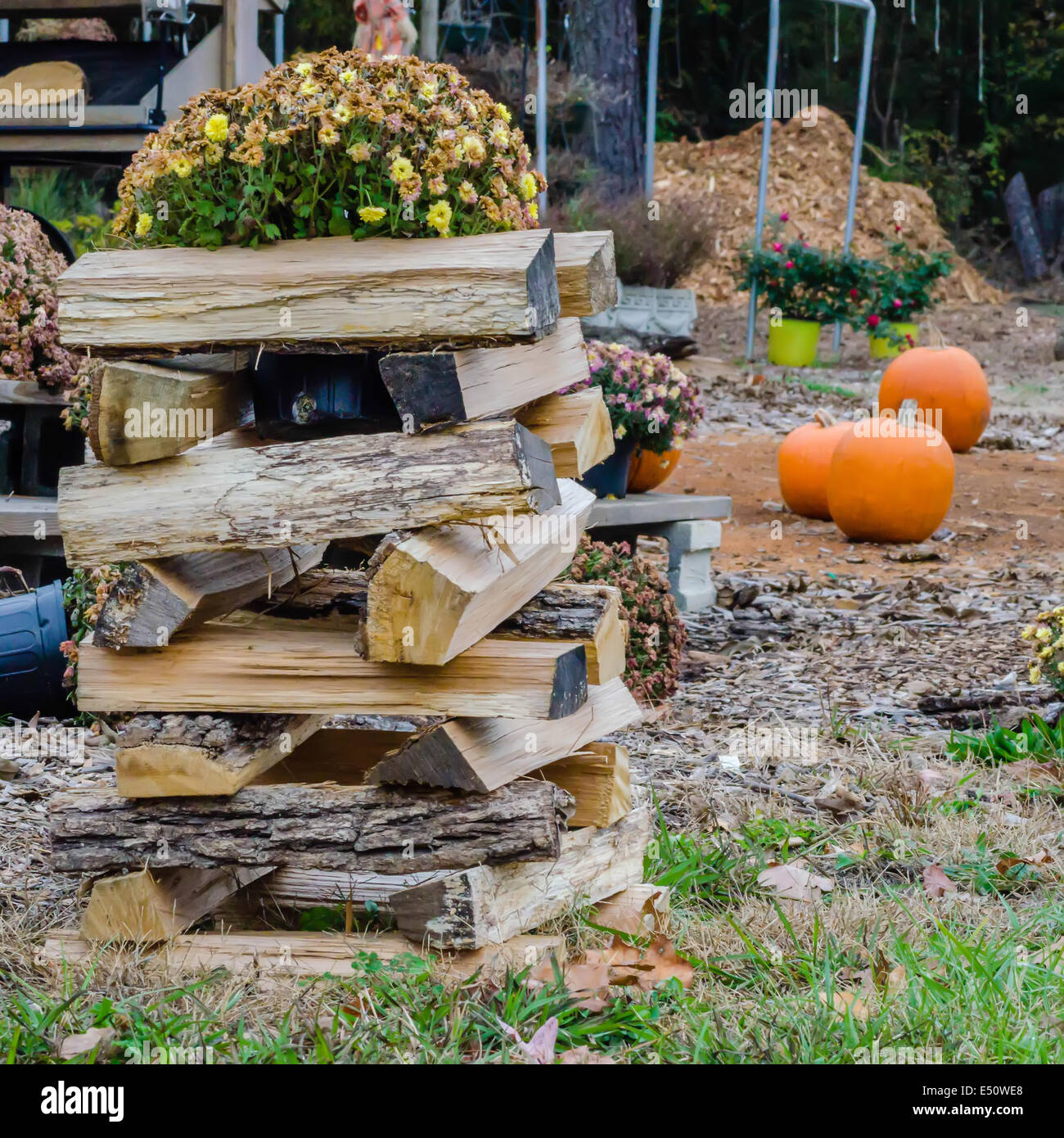 stack of firewood ready for fireplace Stock Photo - Alamy