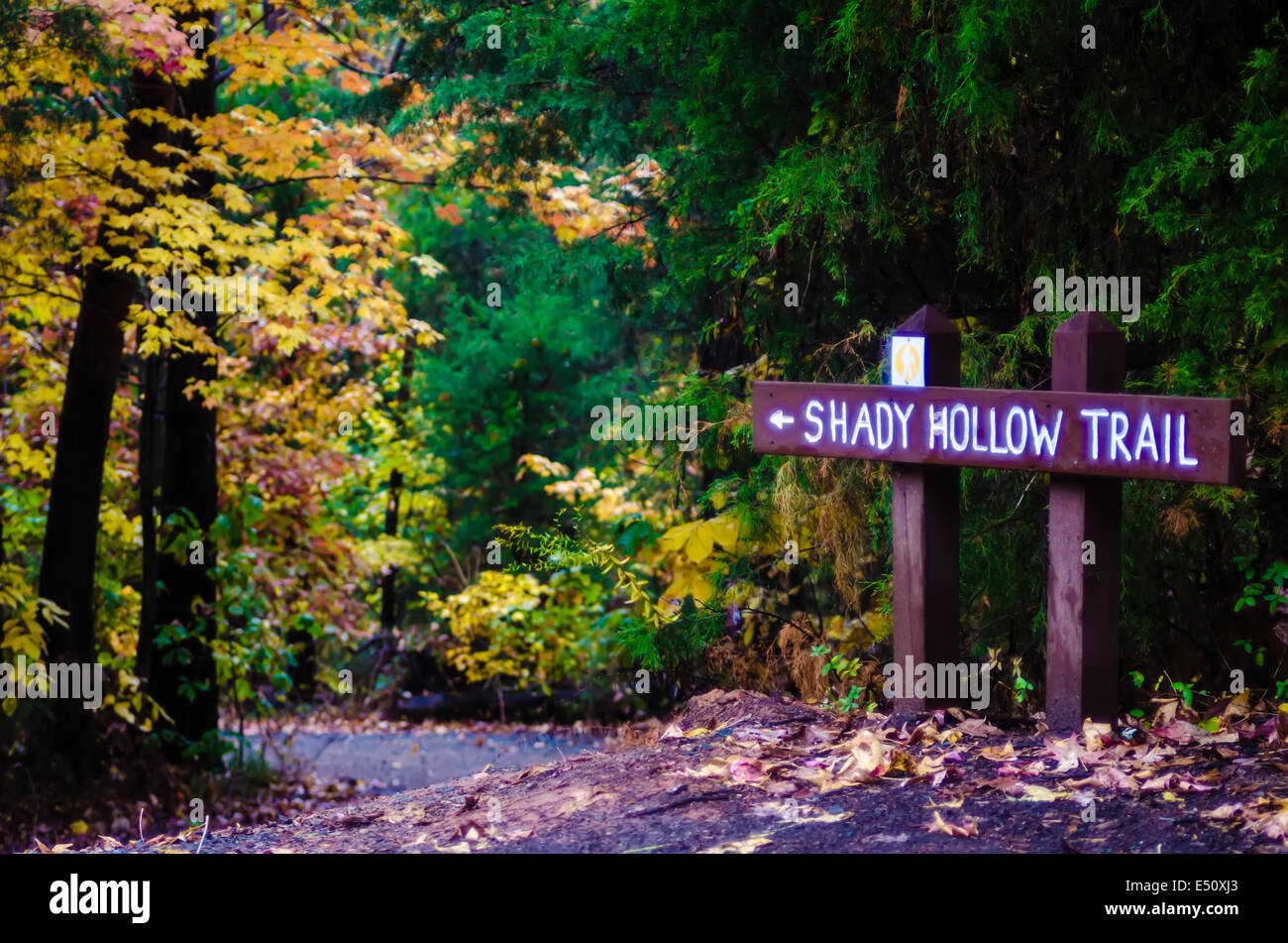 Autumn season during leaf hi-res stock photography and images - Alamy