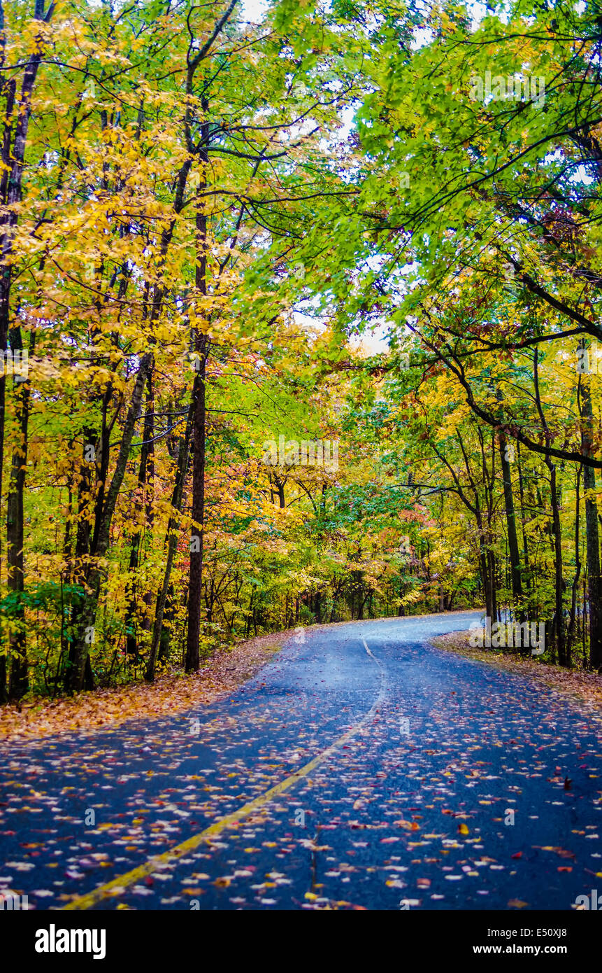 autumn country road Stock Photo - Alamy