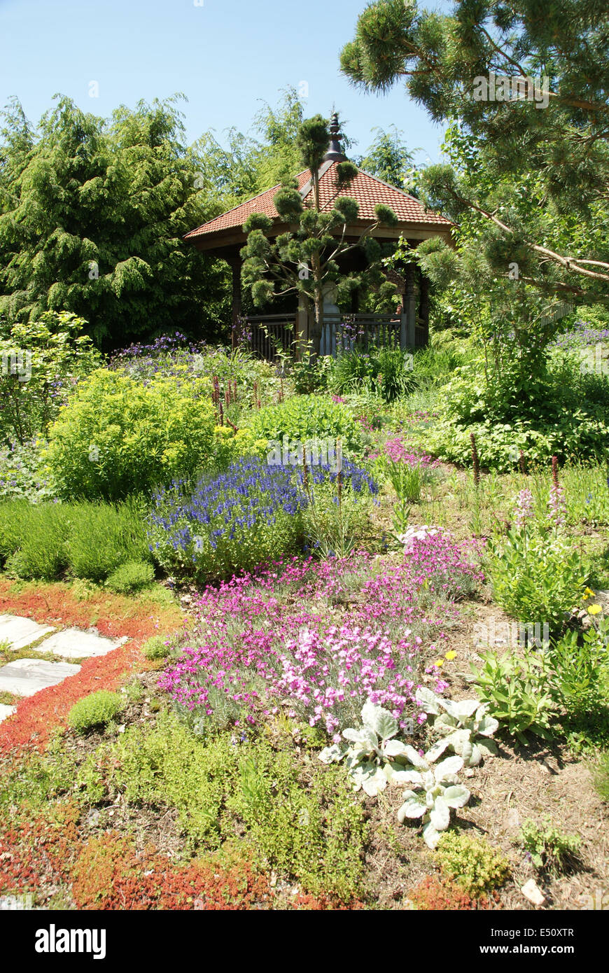 Nepal wald hi-res stock photography and images - Alamy