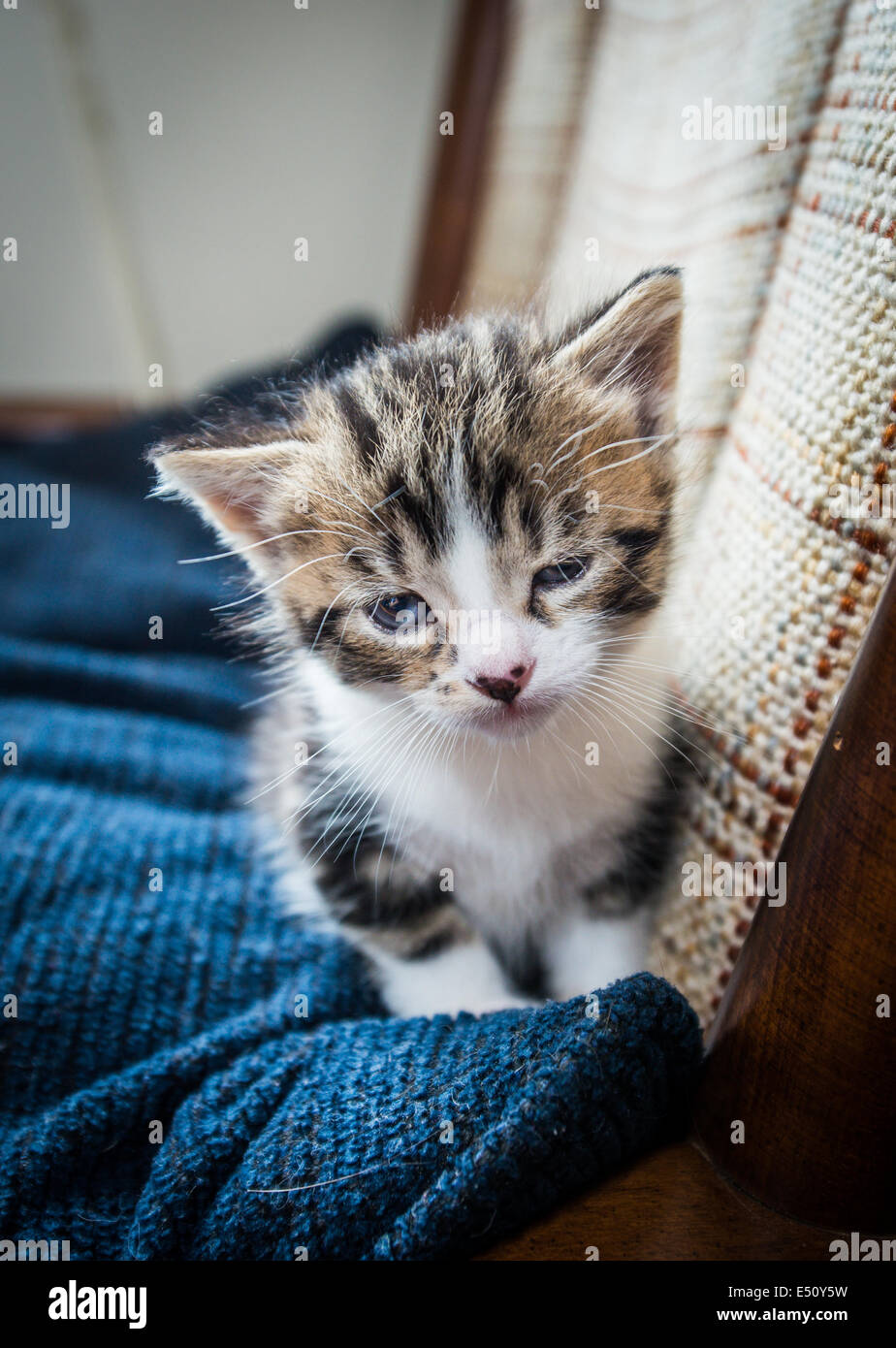 Adorable sleepy baby hi-res stock photography and images - Alamy