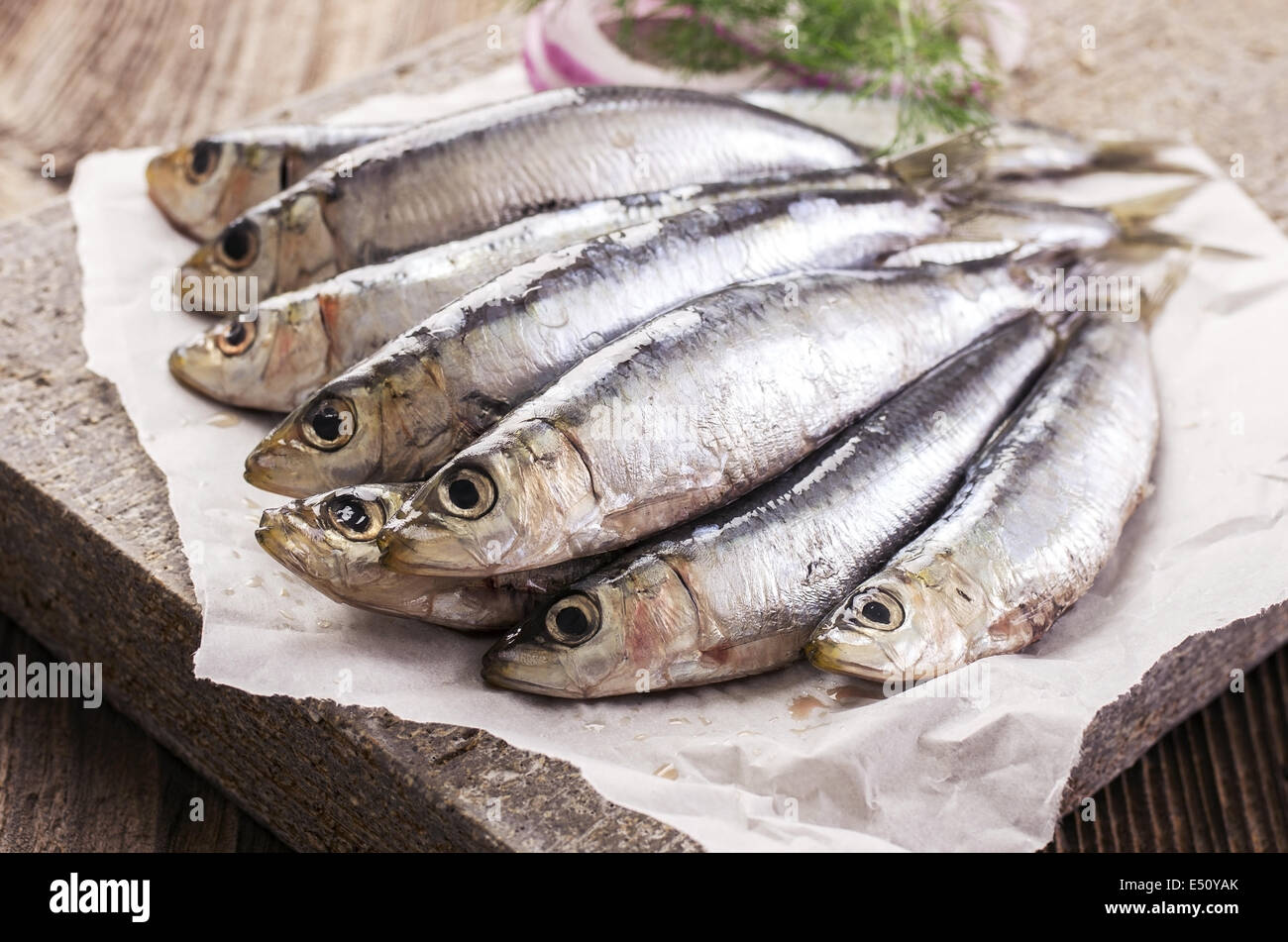 Pilchard High Resolution Stock Photography and Images - Alamy
