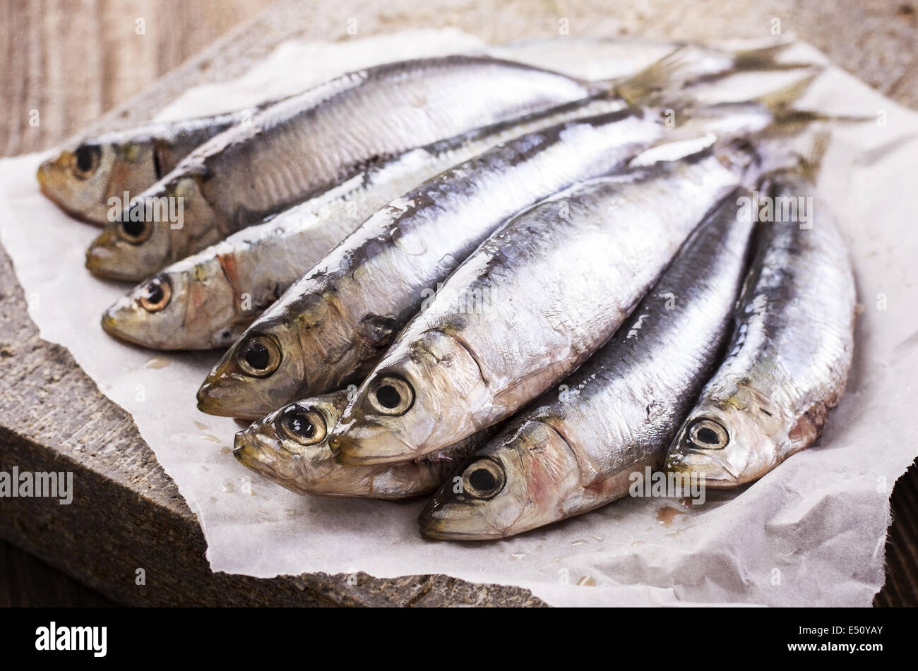 Atlantic gan hi-res stock photography and images - Alamy