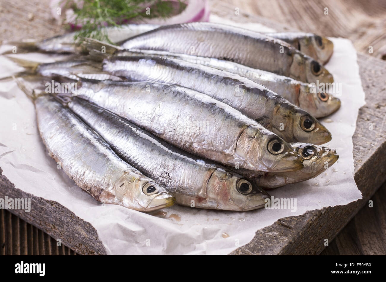 Fresh pilchard hi-res stock photography and images - Alamy