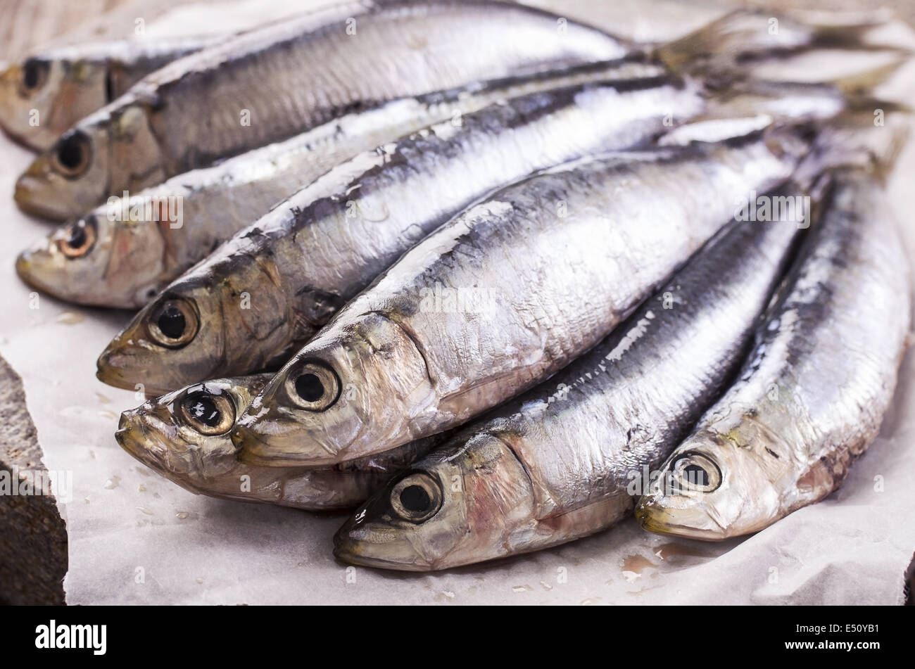 Pilchard hi-res stock photography and images - Alamy