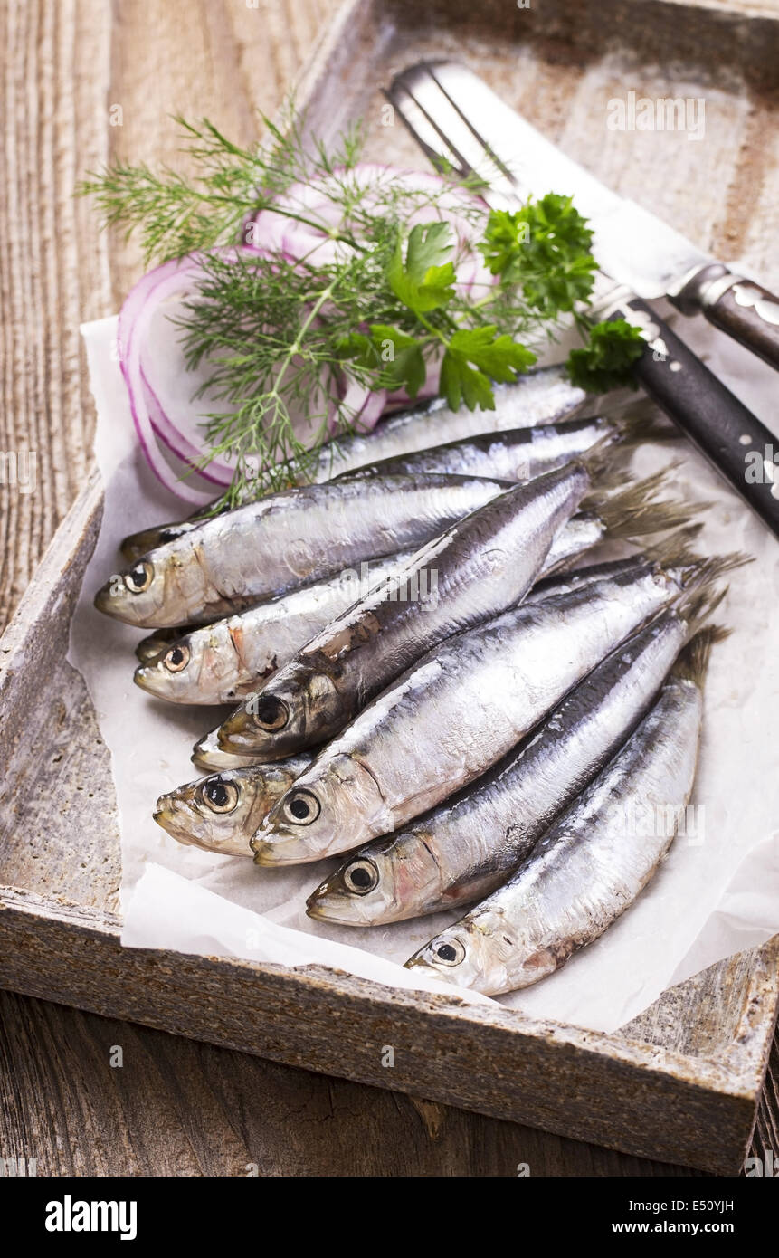 Pilchard hi-res stock photography and images - Alamy