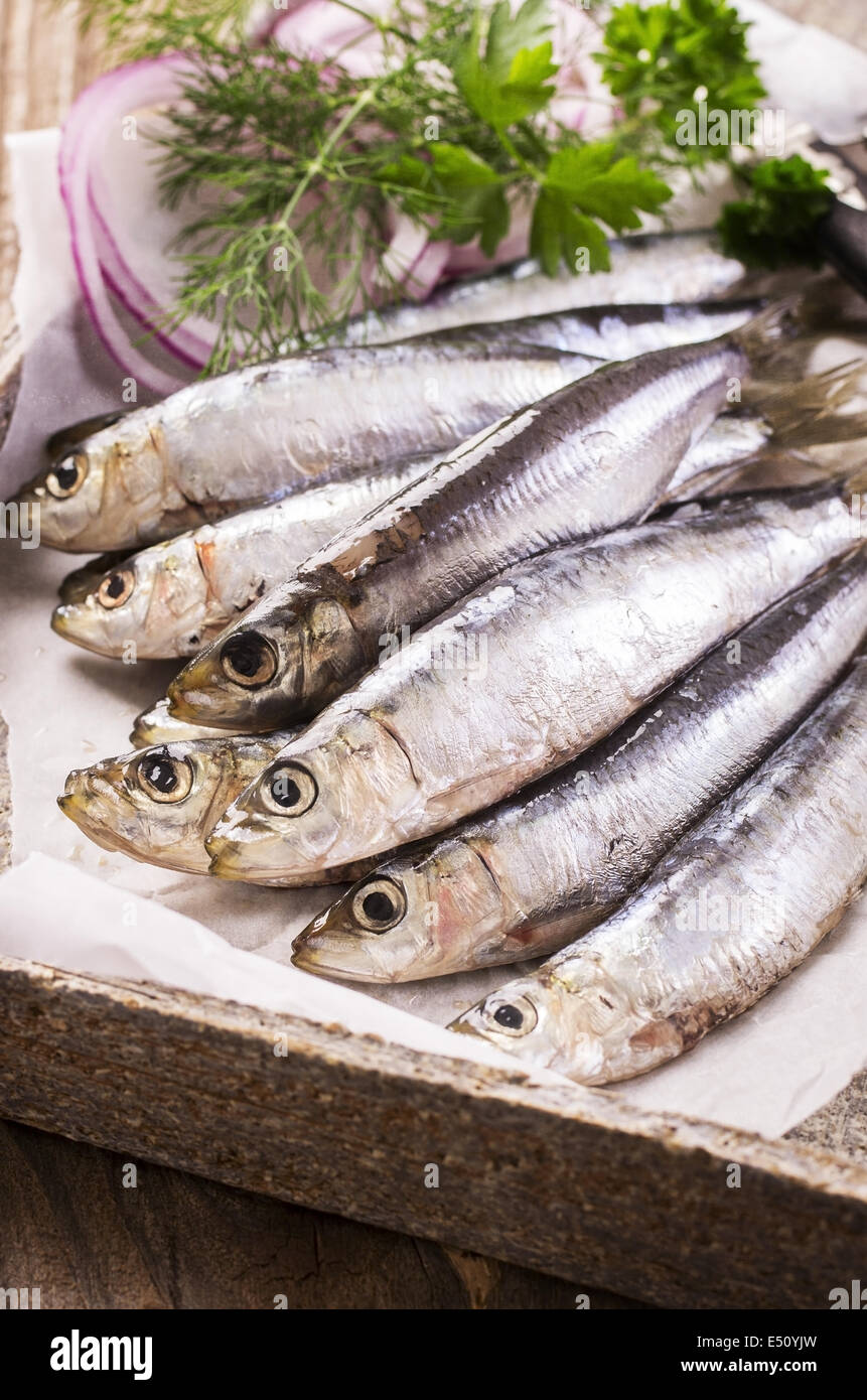 Pilchard hi-res stock photography and images - Alamy