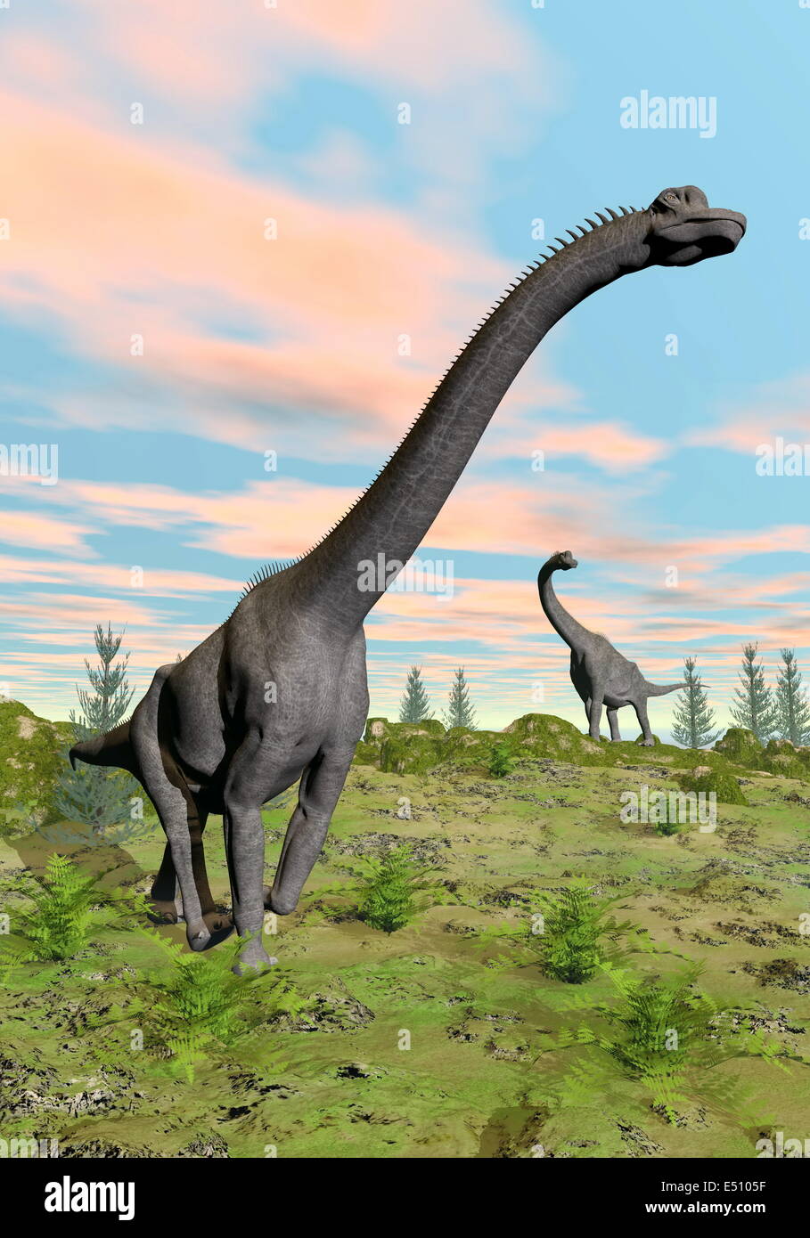 Brachiosaurus dinosaurs - 3D render Stock Photo - Alamy