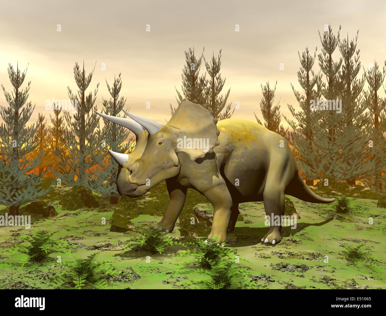 Triceratops dinosaur 3d render hi-res stock photography and images - Alamy