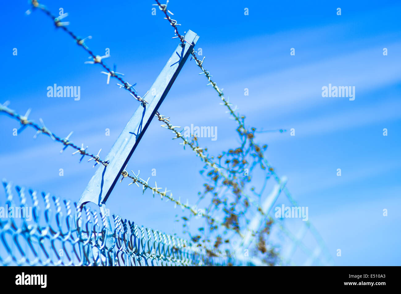 barb wire fence Stock Photo - Alamy