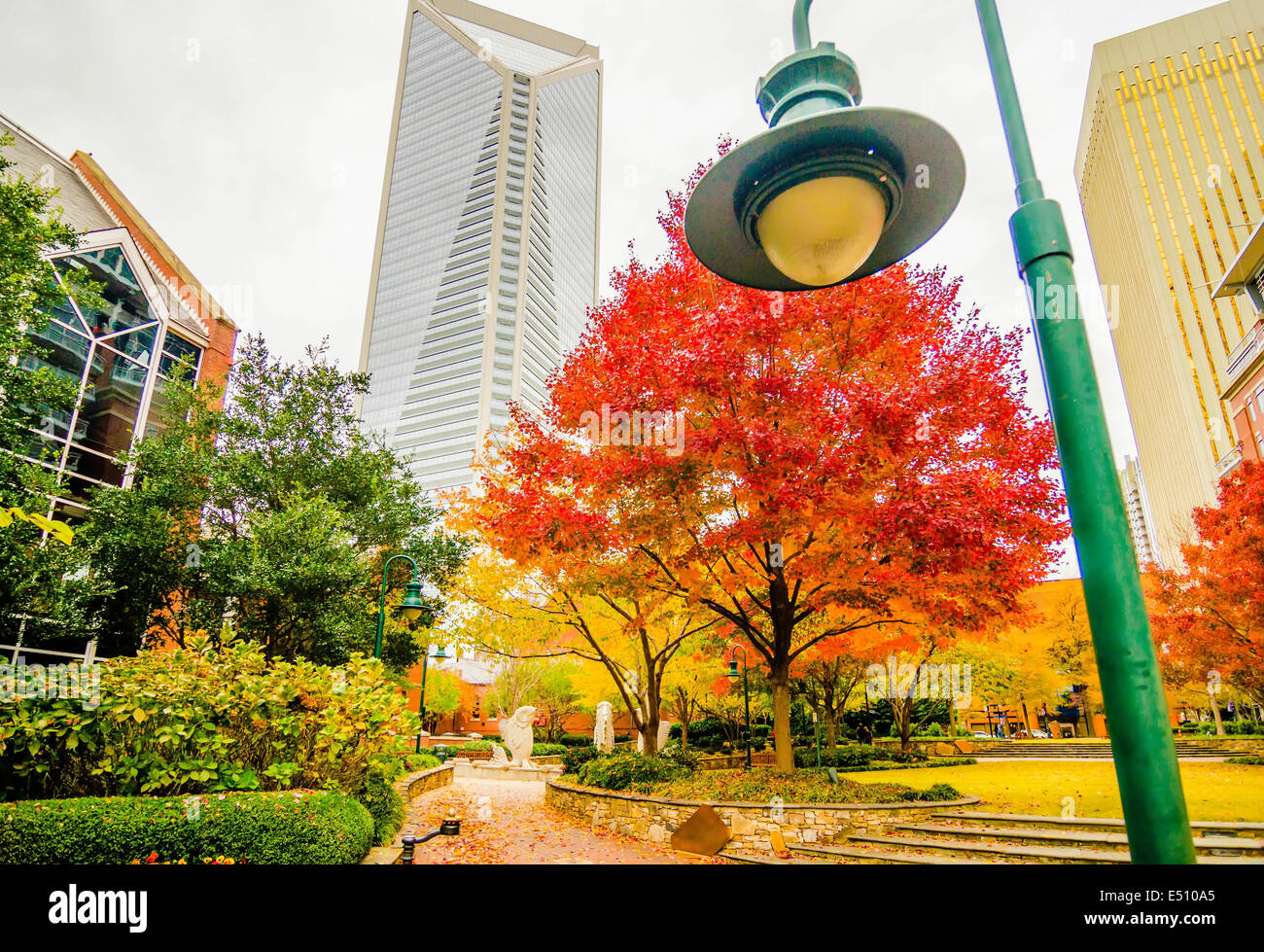 charlotte city skyline autumn season Stock Photo - Alamy
