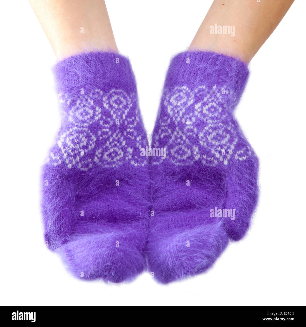 Lilac in winter Cut Out Stock Images & Pictures - Alamy