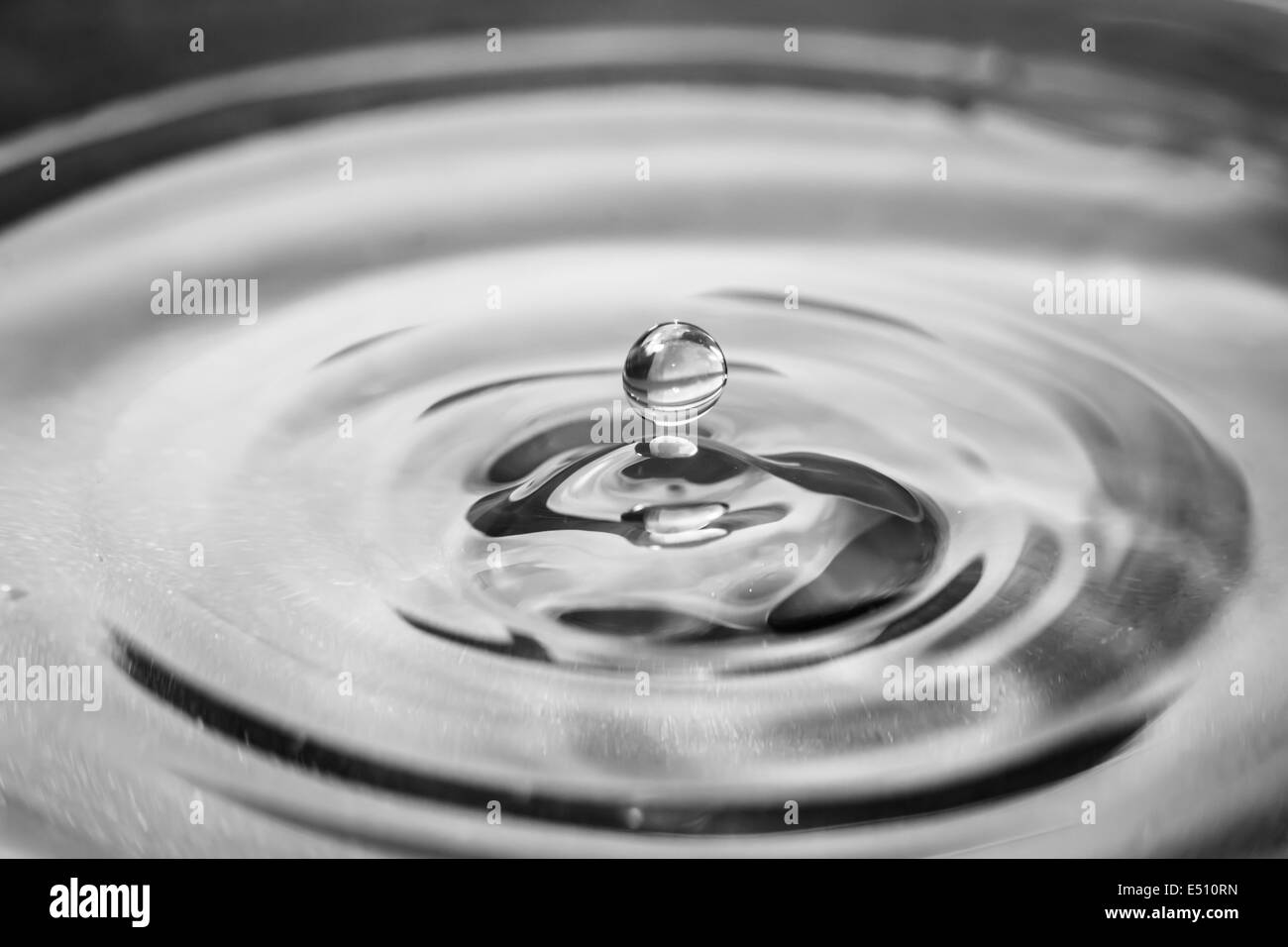 Water drop distortion Black and White Stock Photos & Images - Alamy