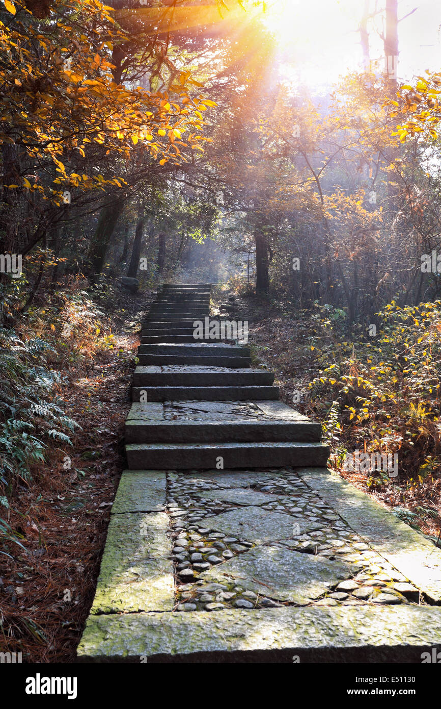 Step stone hi-res stock photography and images - Alamy