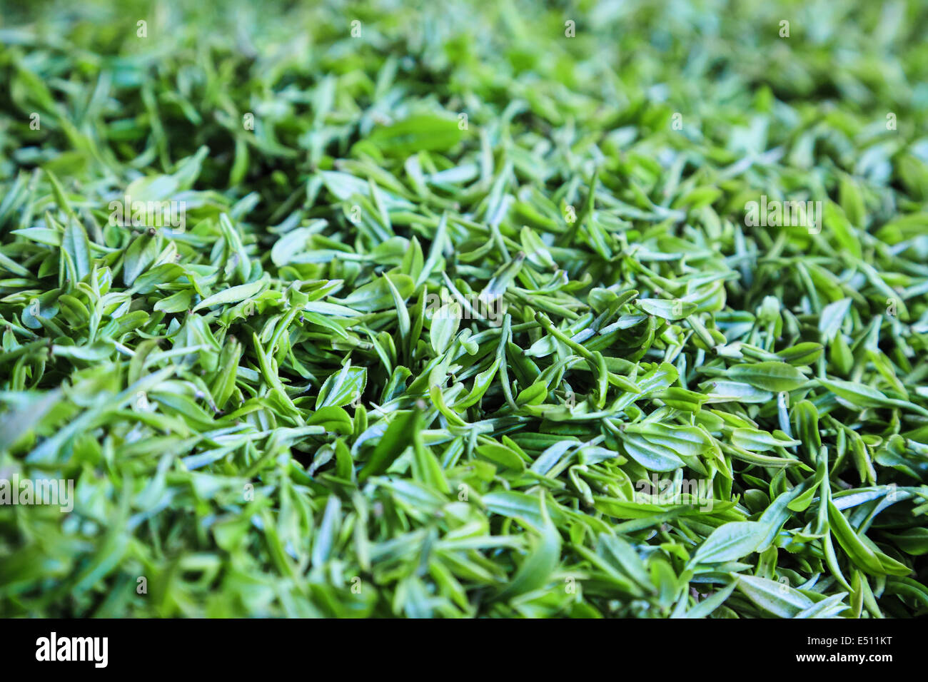 green tea background Stock Photo - Alamy
