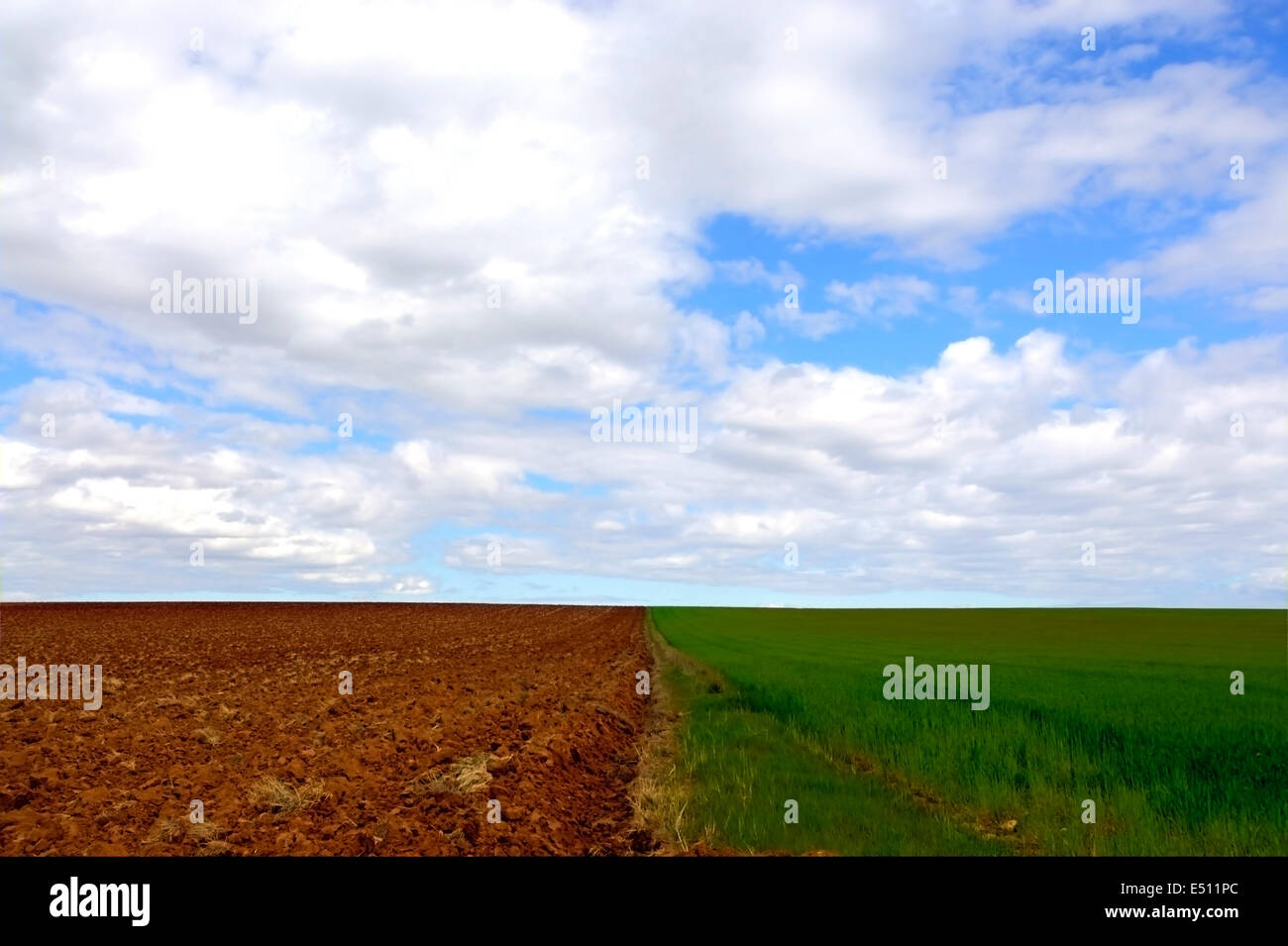 Picture of a cultivation landscape with two different areas Stock Photo ...