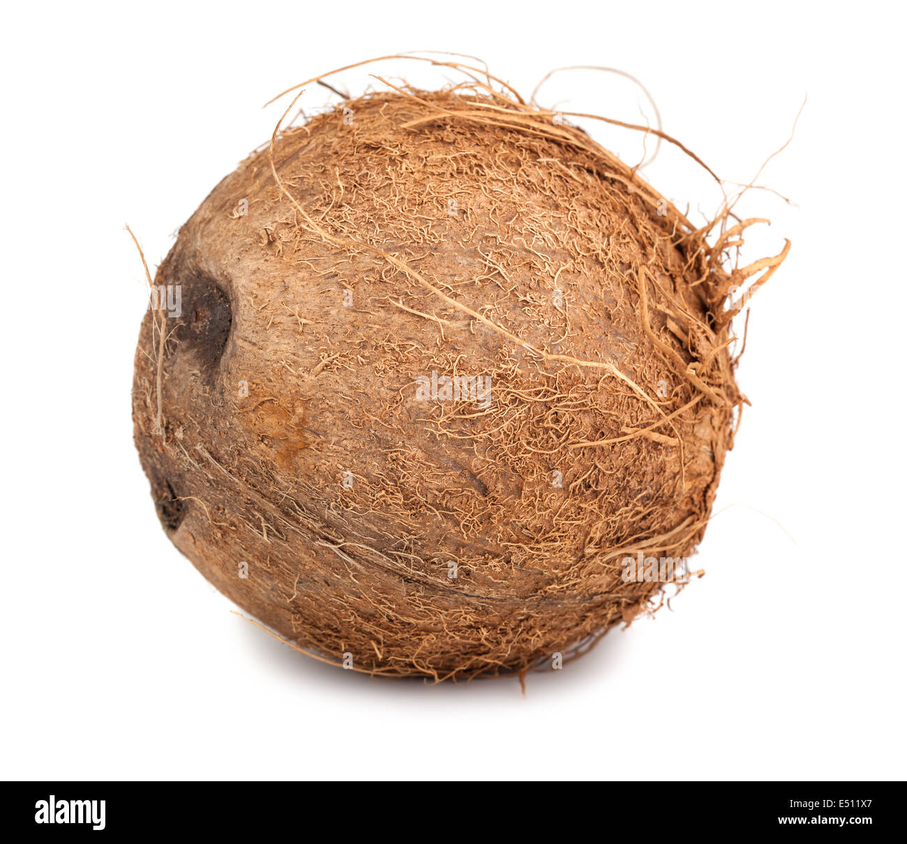 Single ripe coconut Stock Photo - Alamy