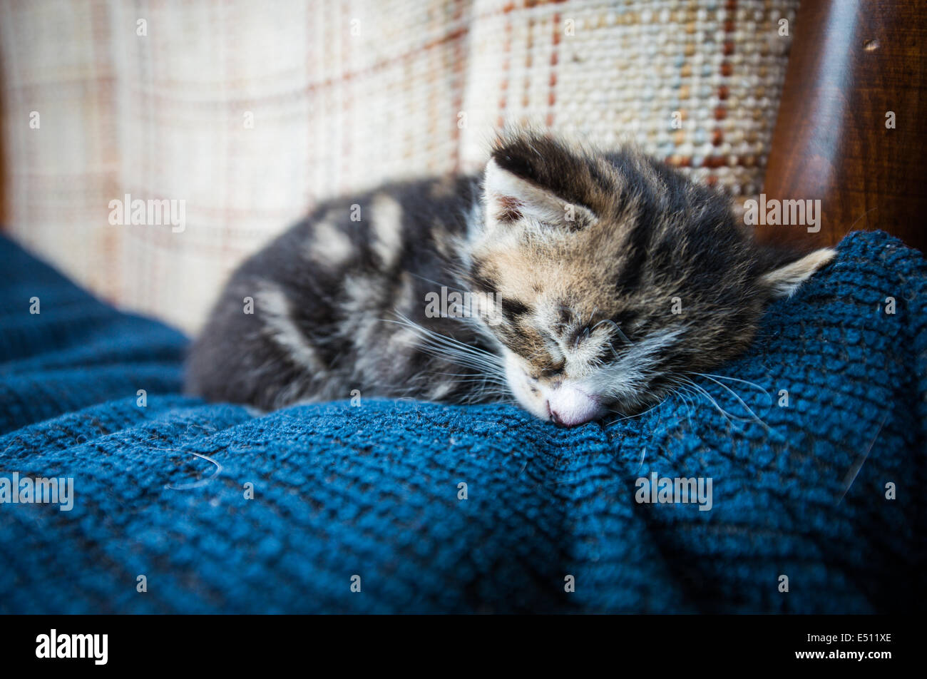 Sleepy baby hi-res stock photography and images - Alamy