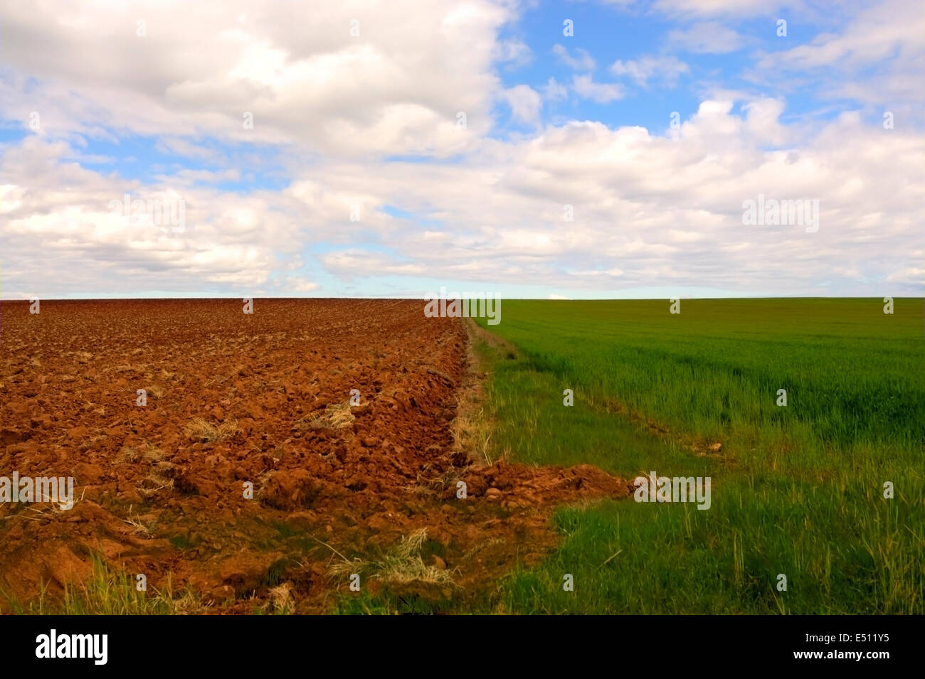 Picture of a cultivation landscape with two different areas Stock Photo ...