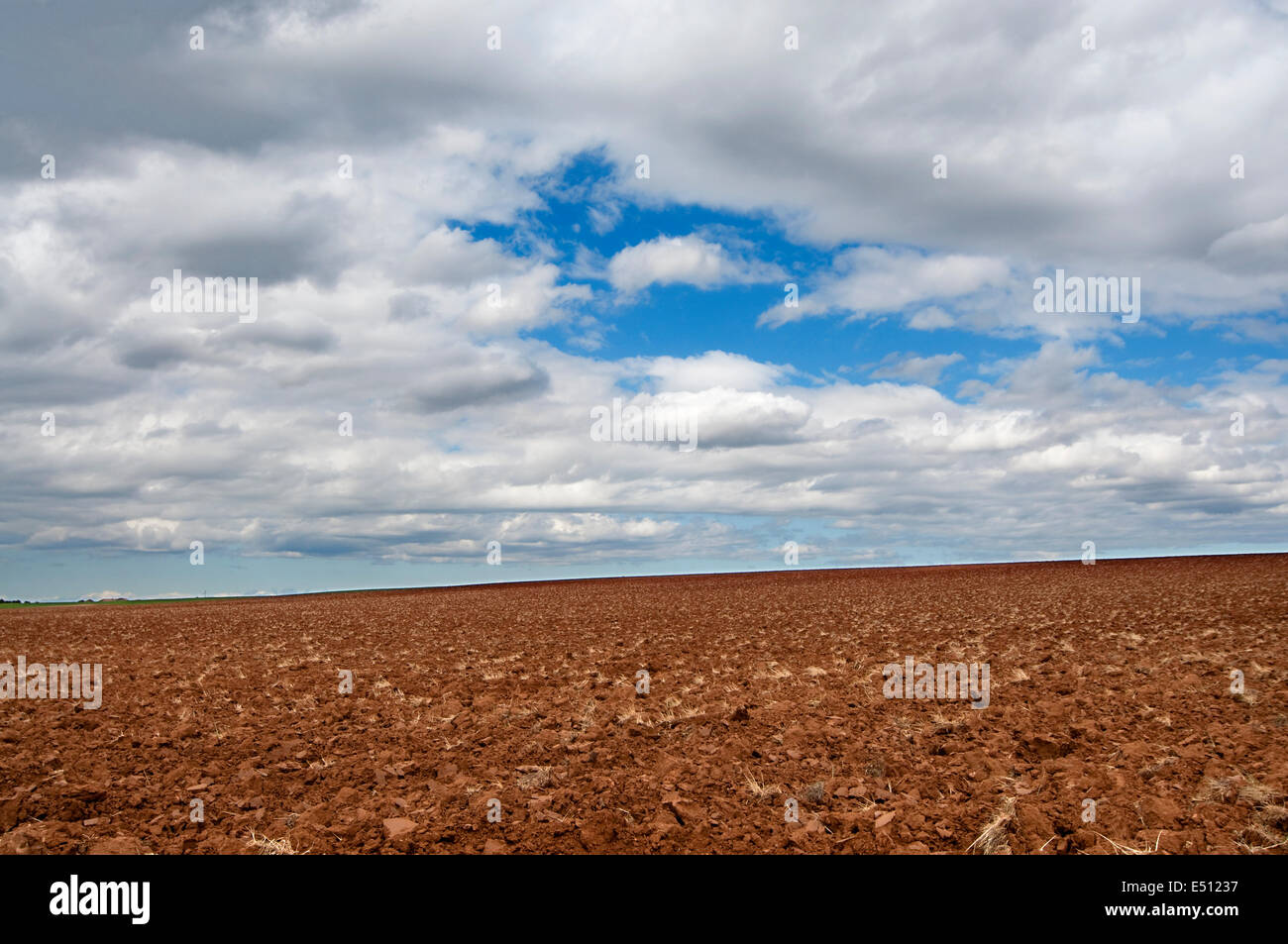 Picture of a cultivation landscape with two different areas Stock Photo ...
