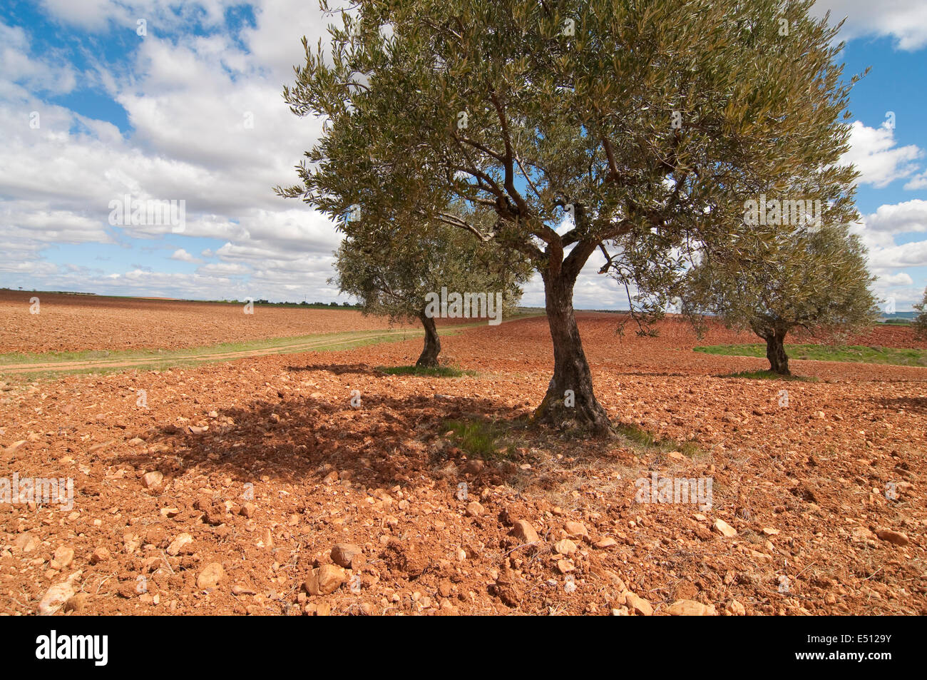 Beautiful picture from plain hi-res stock photography and images - Alamy