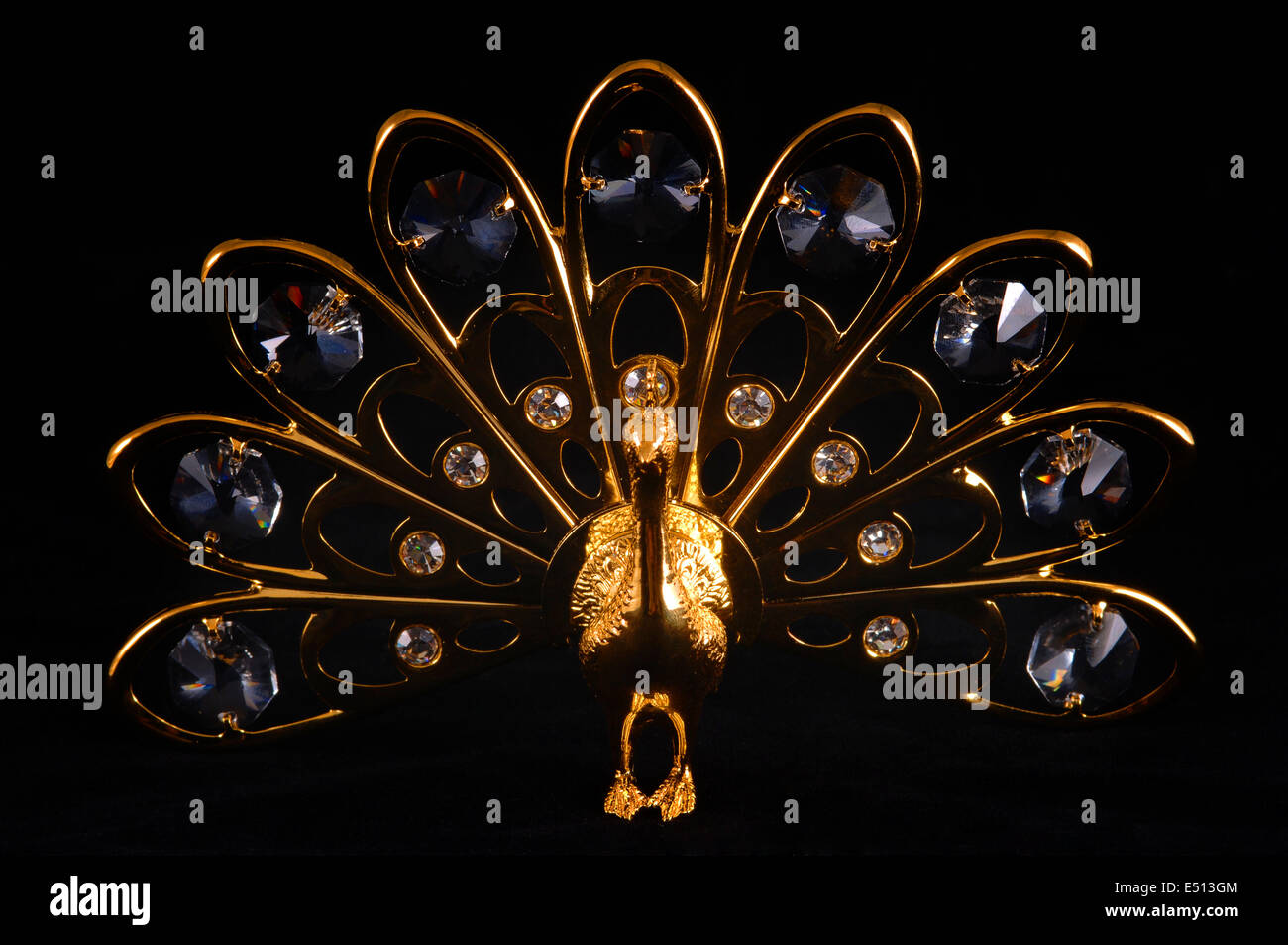 Golden peacock hi-res stock photography and images - Alamy