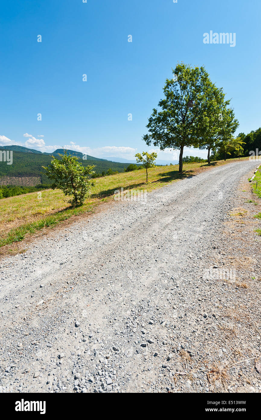 Winding Dirt Road in the Tuscany Stock Photo - Alamy