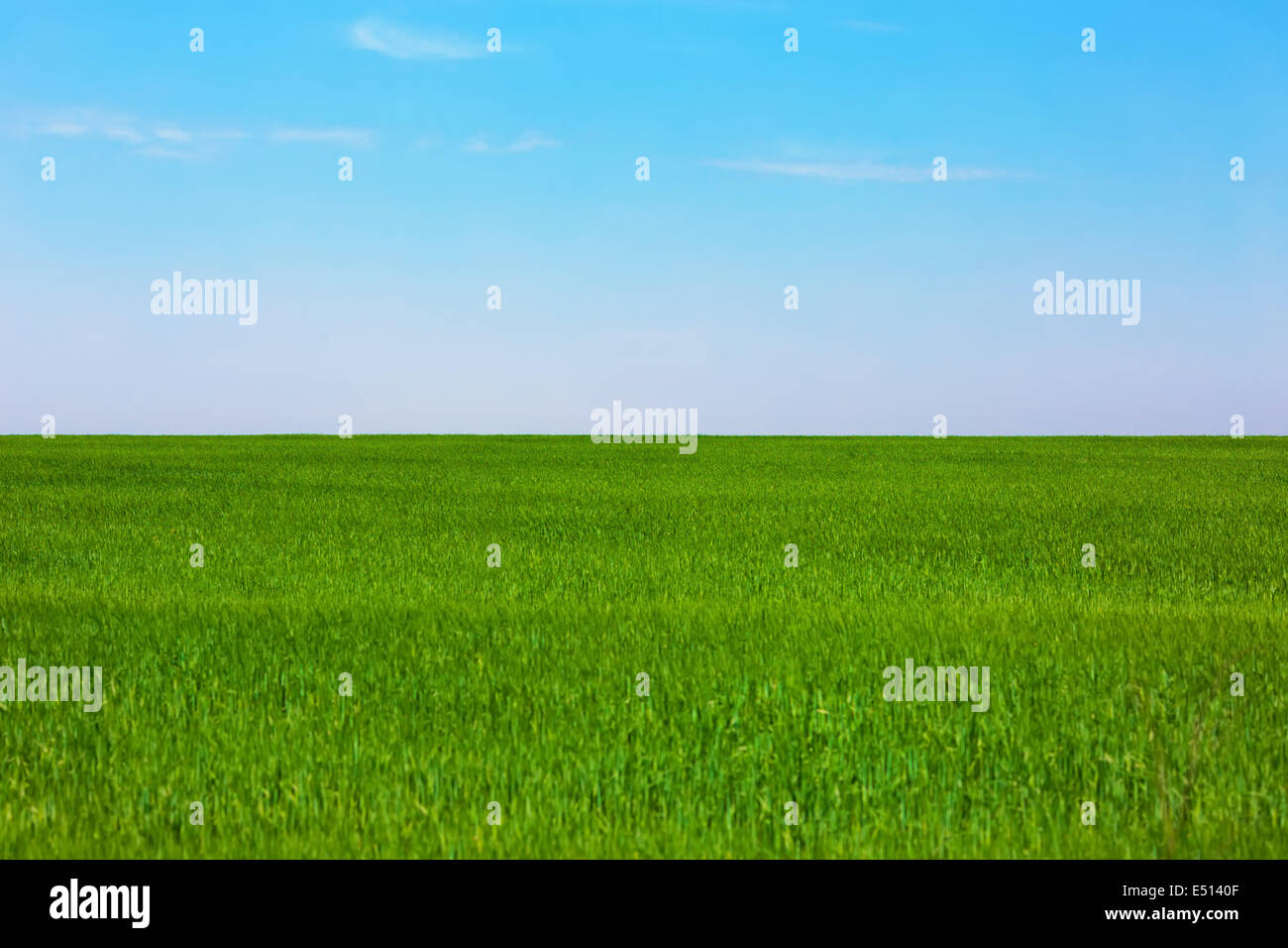 Green plain hi-res stock photography and images - Alamy