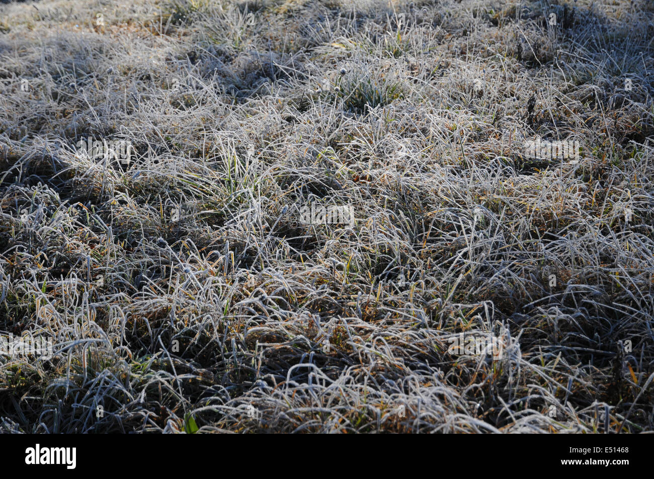 Ice crystals on meadow hi-res stock photography and images - Alamy