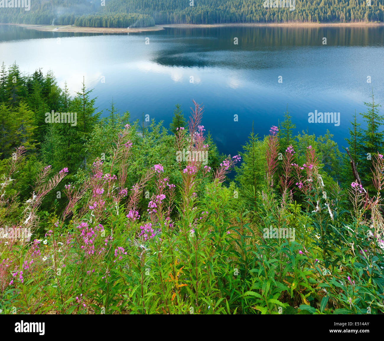 Alpine Lake Vidra summer view Stock Photo - Alamy