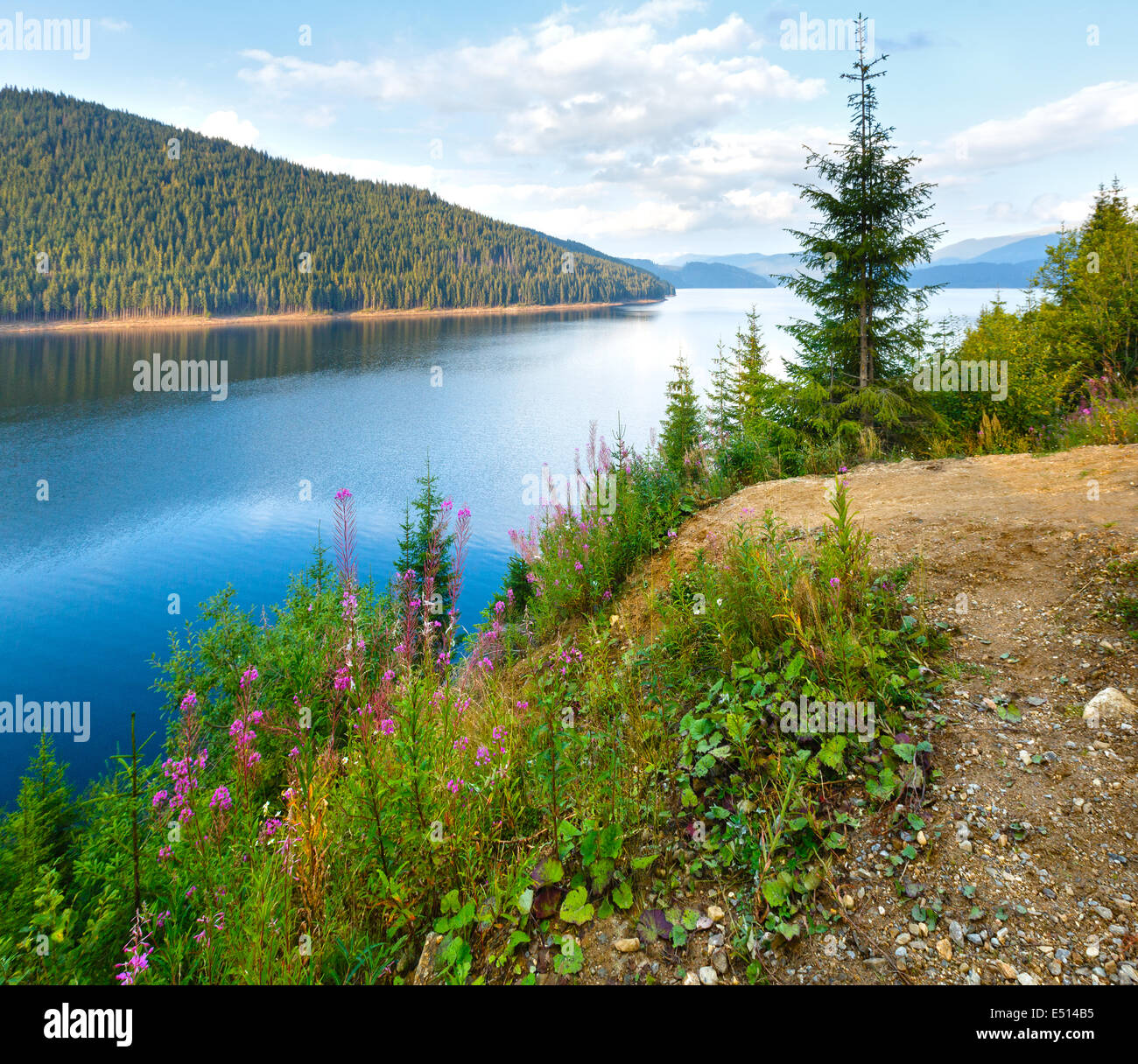 Alpine Lake Vidra summer view Stock Photo - Alamy