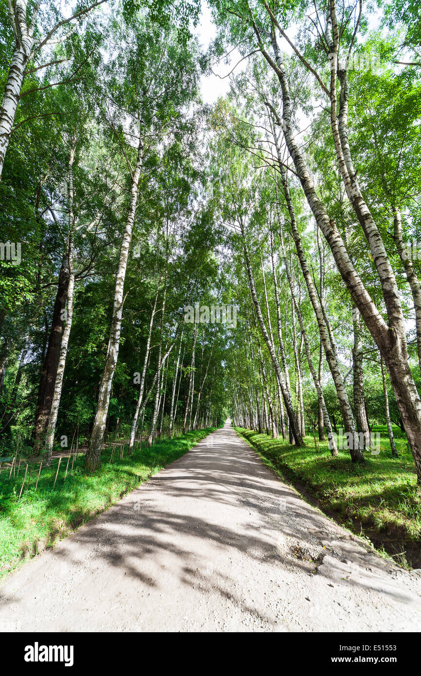 narrow walking path Stock Photo - Alamy