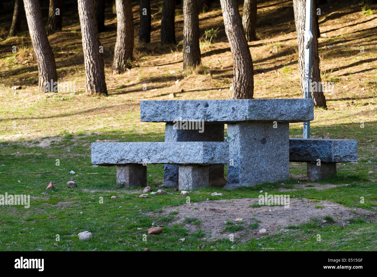 Forest with stone chairs Stock Photo - Alamy